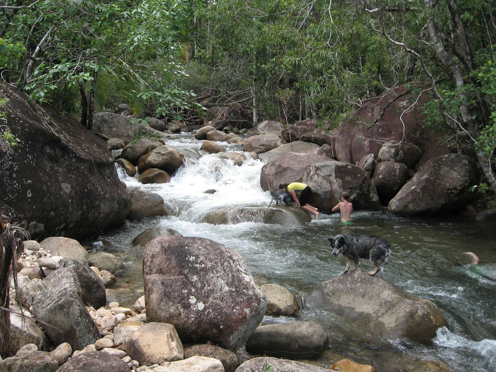 Forest Flying Camping - Hipcamp in Mackay, Queensland