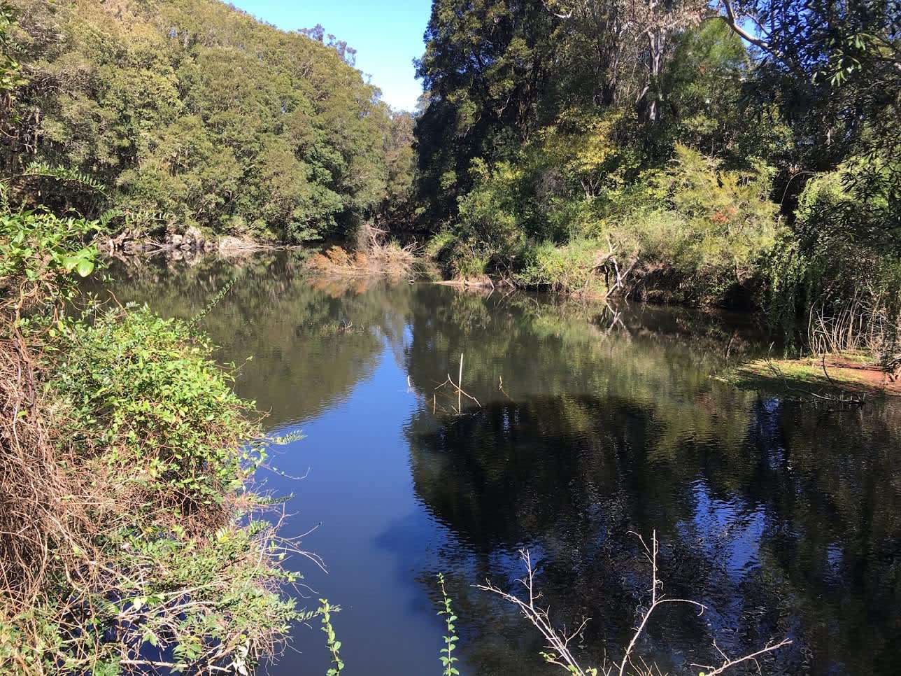 Little Plain Hall Grounds - Hipcamp in Elands, New South Wales