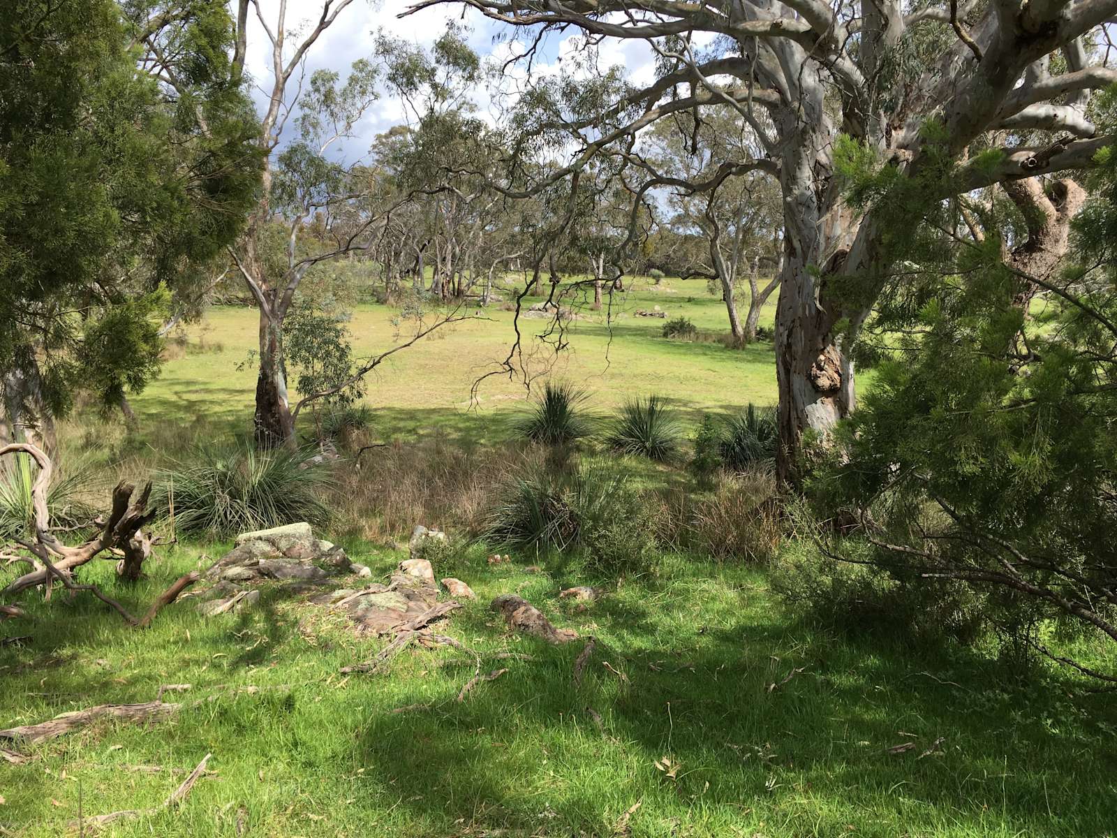 Rangelands Barossa Valley - Hipcamp in Flaxman Valley, South Australia