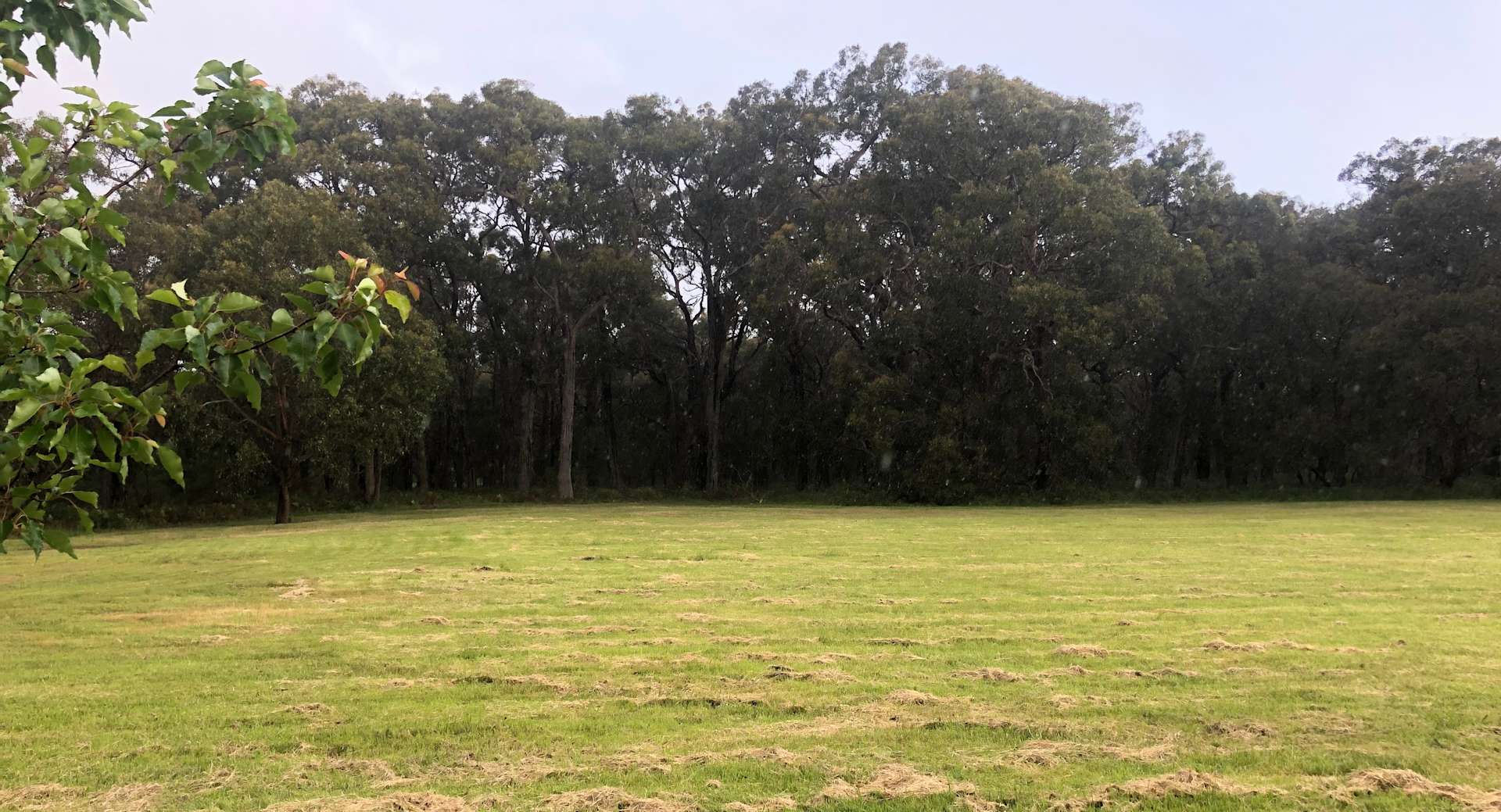 Baldrys Rd Farm Stay - Hipcamp in Main Ridge, Victoria