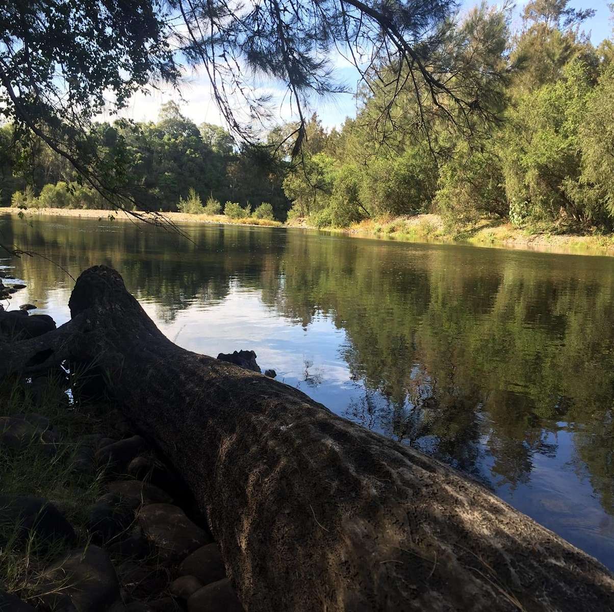 Macleay River Camp - Hipcamp in Willawarrin, New South Wales