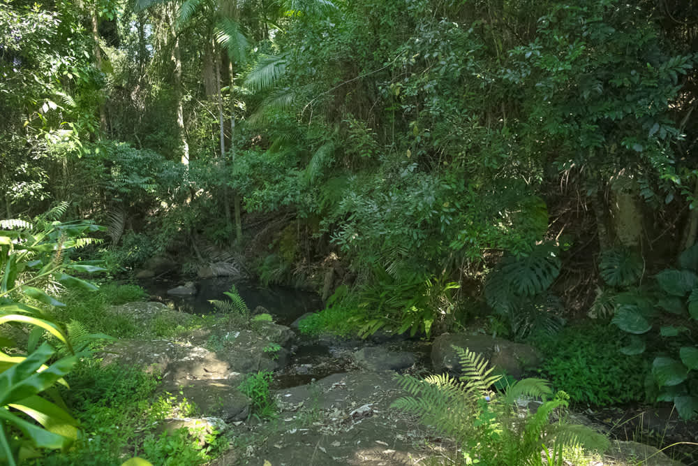 The Cascades - Hipcamp in Whian Whian, New South Wales