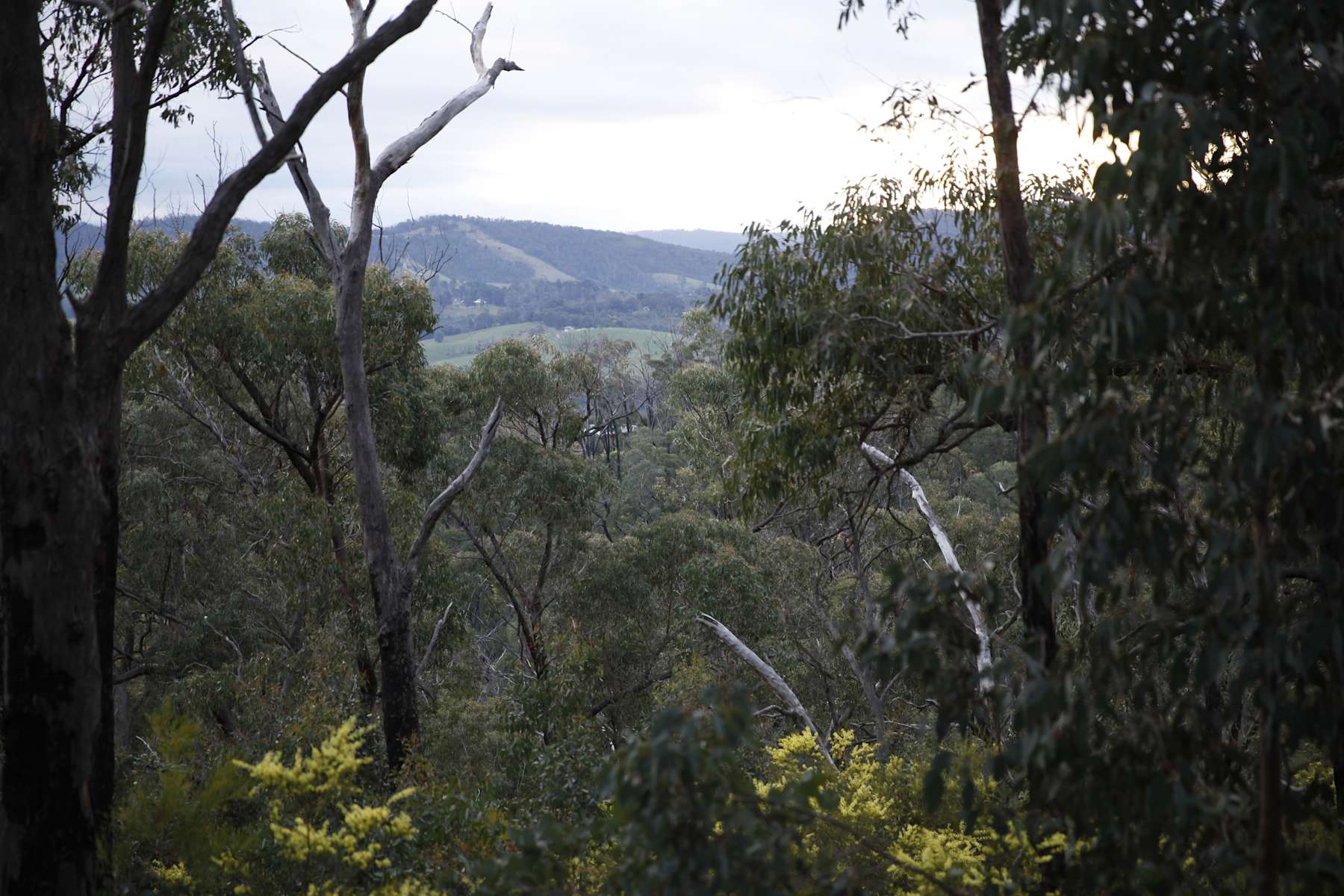 Bush Escape Yarra Valley - Hipcamp in Chum Creek, Victoria
