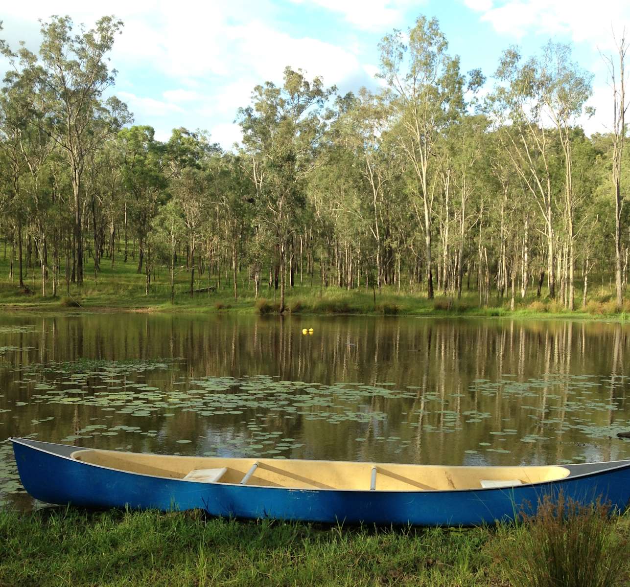 Calm View - Hipcamp in Croftby, Queensland