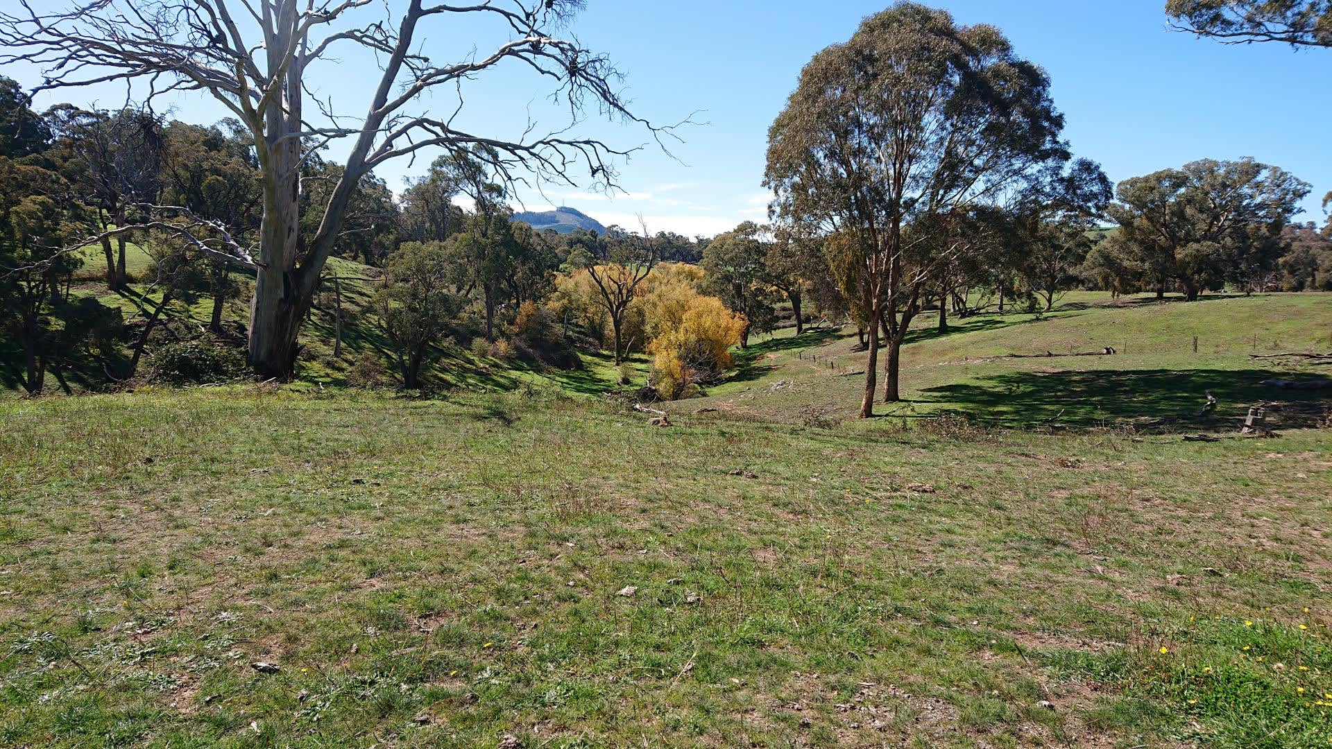 Dairy Park Farm Stay - Hipcamp in Mandurama, New South Wales