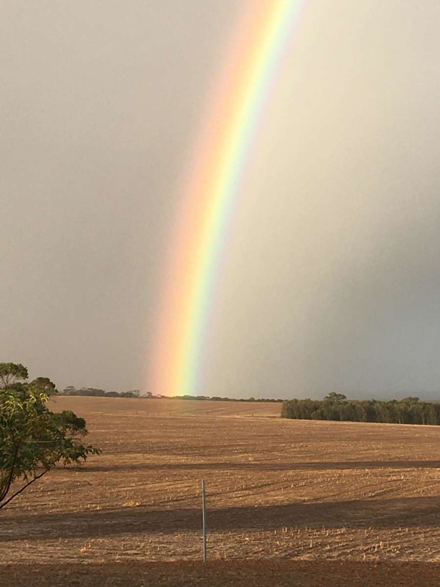 Clearview Farm - Hipcamp in Gunyidi, Western Australia