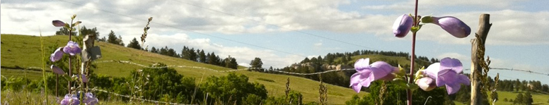 Earth Tipi - Hipcamp in Manderson White Horse Creek, South Dakota