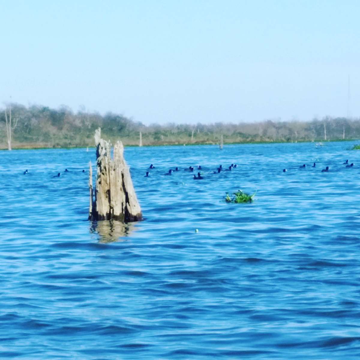 Bayou Bienvenue Wetlands Triangle - Hipcamp in Arabi, Louisiana