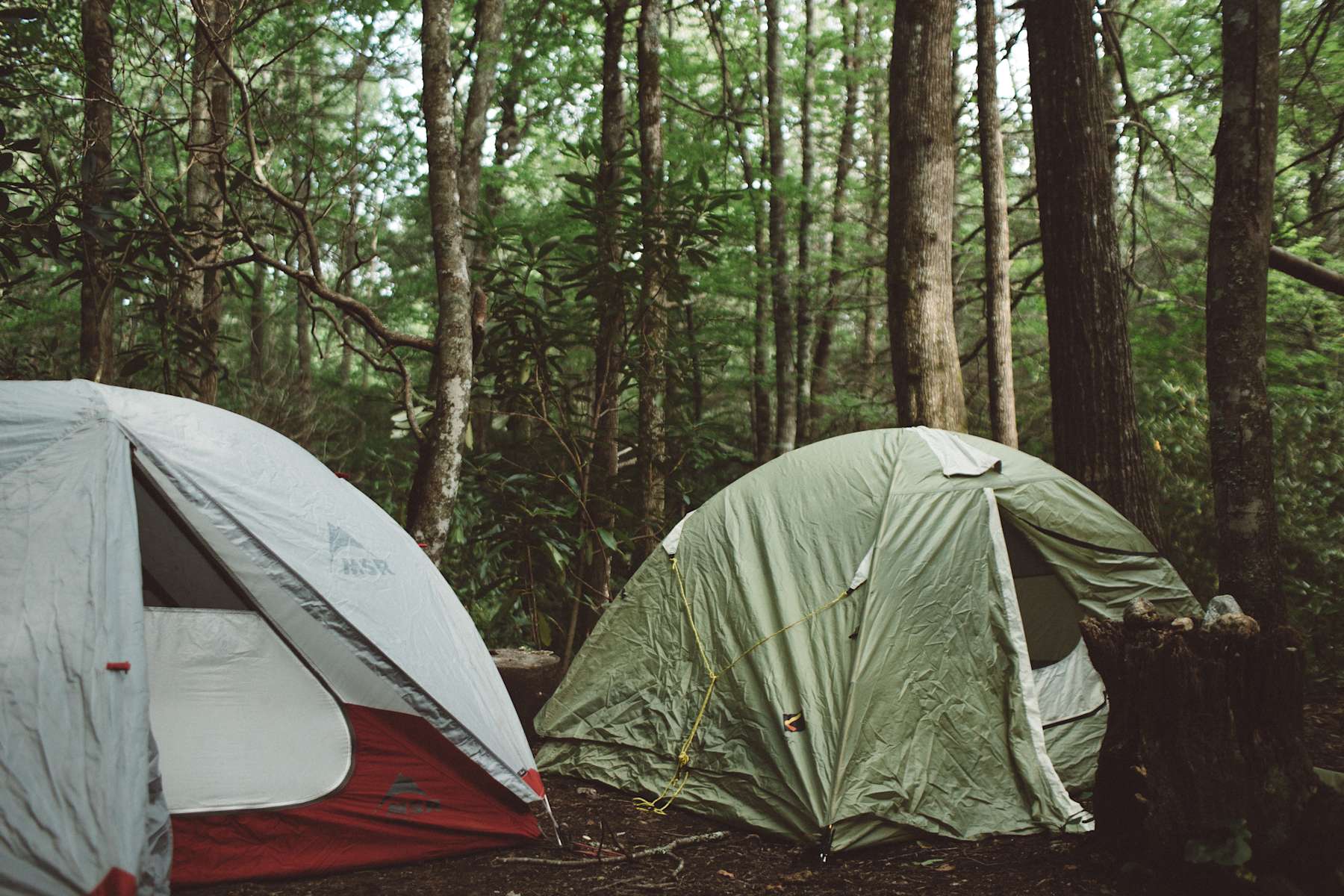 Duck Dance Farm - Hipcamp in Burnsville, North Carolina