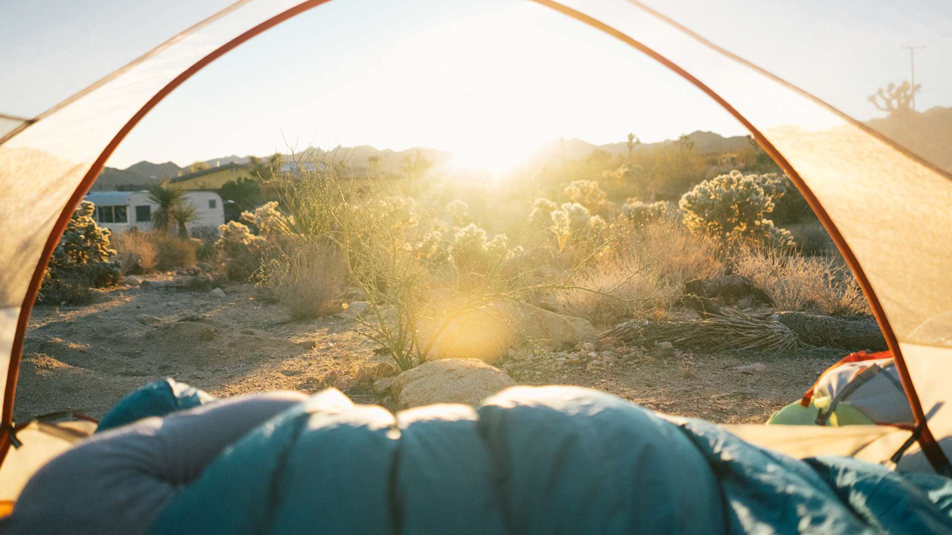Pink Cloud Ranch - Hipcamp in Joshua Tree, California