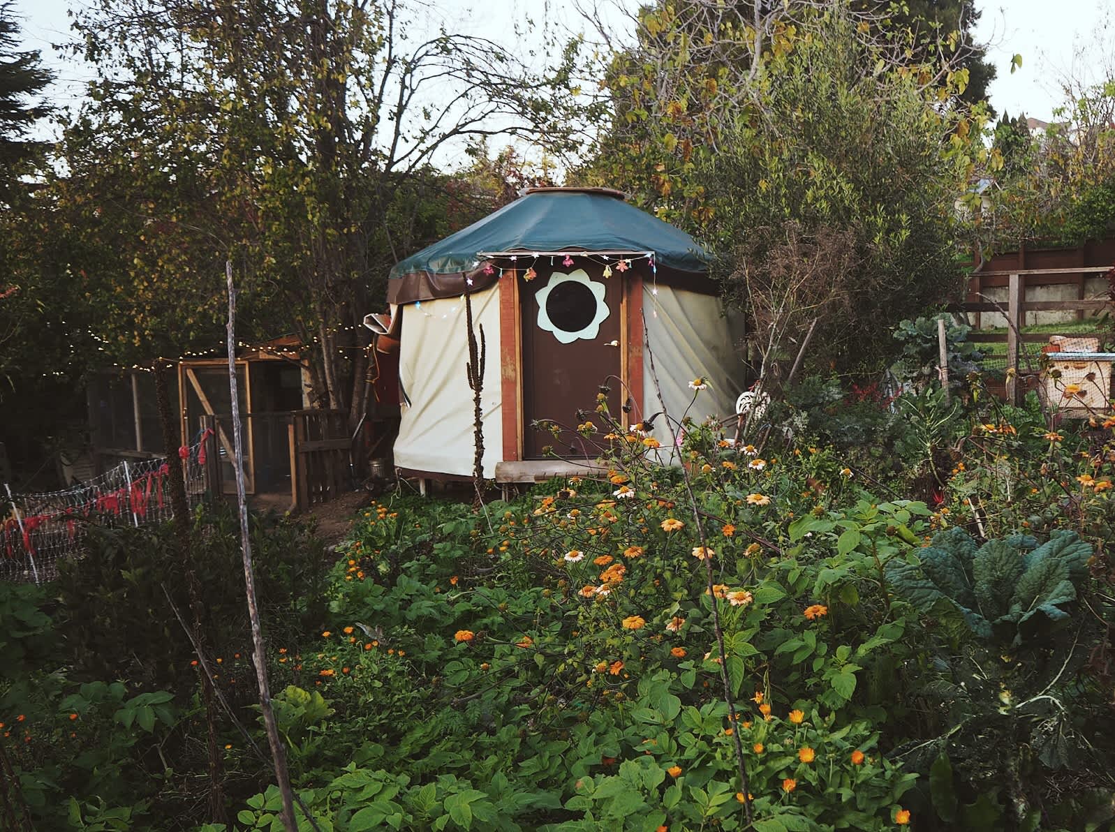 Solusan Urban Farm - Hipcamp in Oakland, California