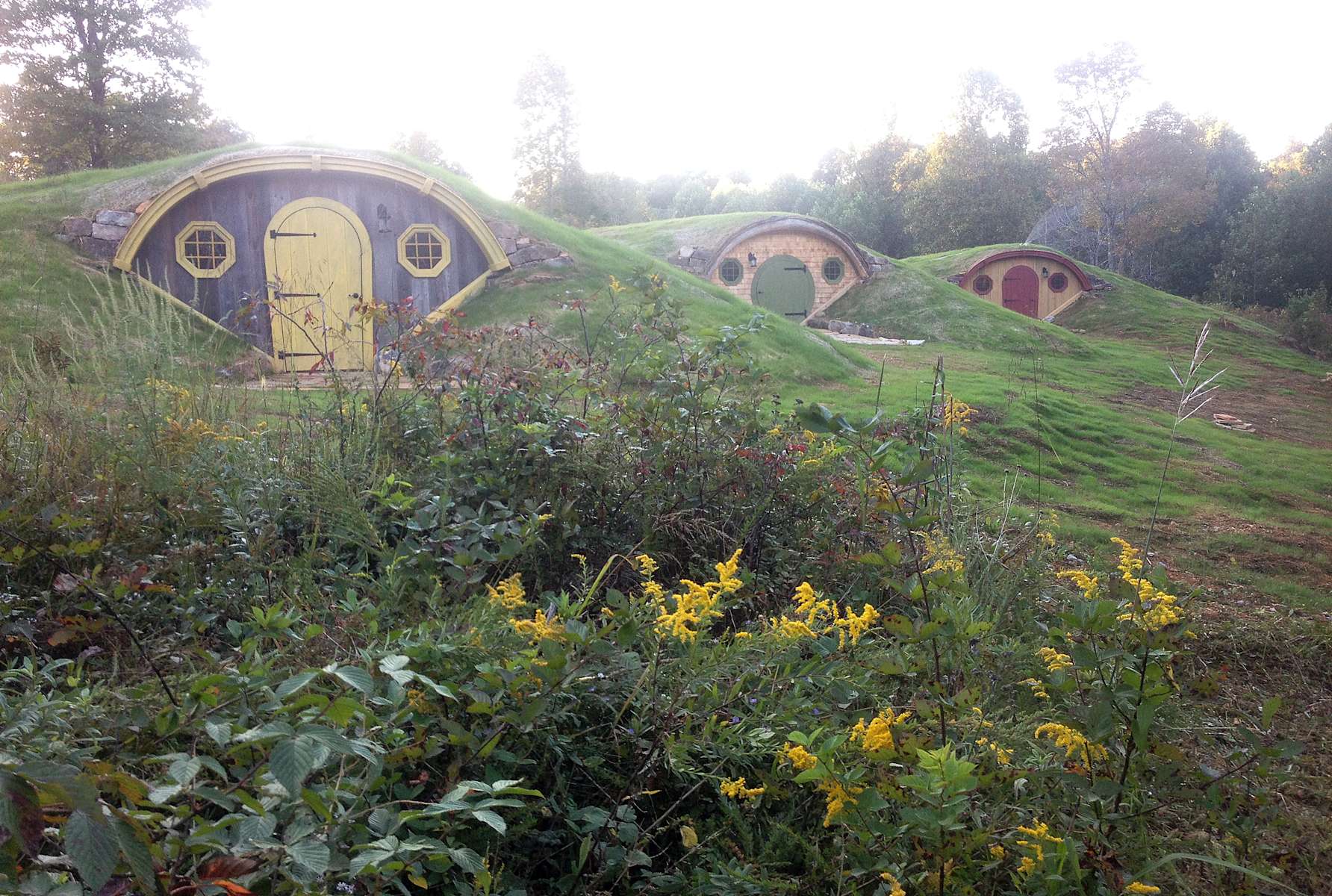 Forest Gully Farms - Hipcamp in Santa Fe, Tennessee