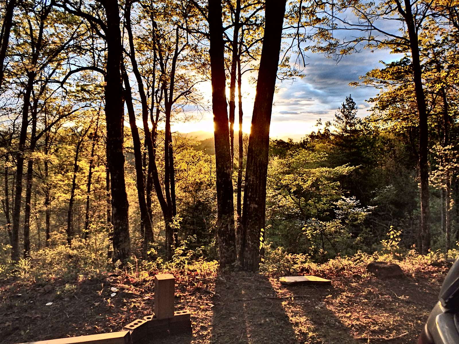 Silverbell Wood - Hipcamp in Bryson City, North Carolina