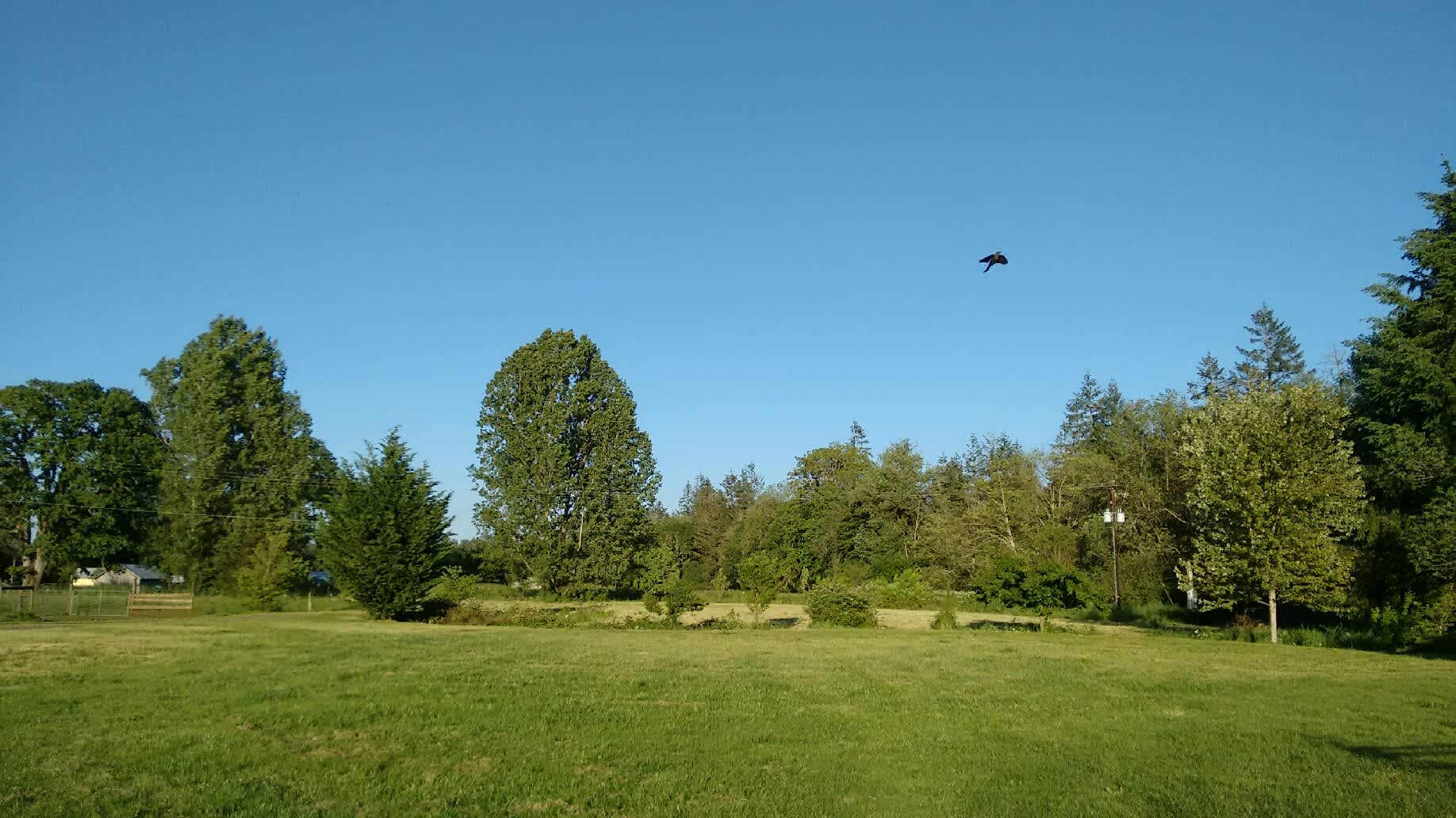 Gateway Farm Alpacas - Hipcamp in Scio, Oregon