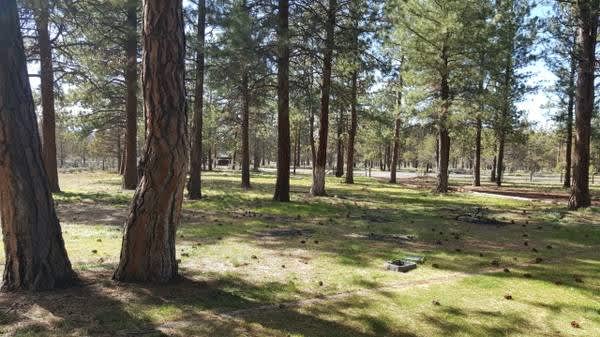 High Desert Homestead - Hipcamp in Sisters, Oregon