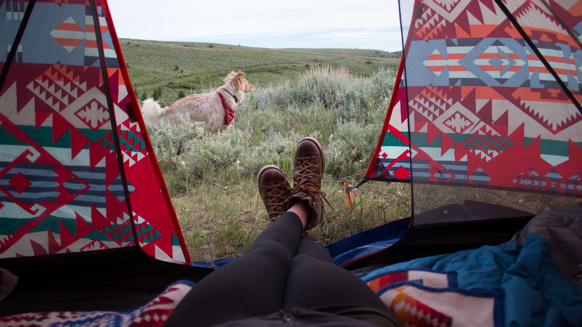 Ellison Ranch - Hipcamp in Mc Leod, Montana