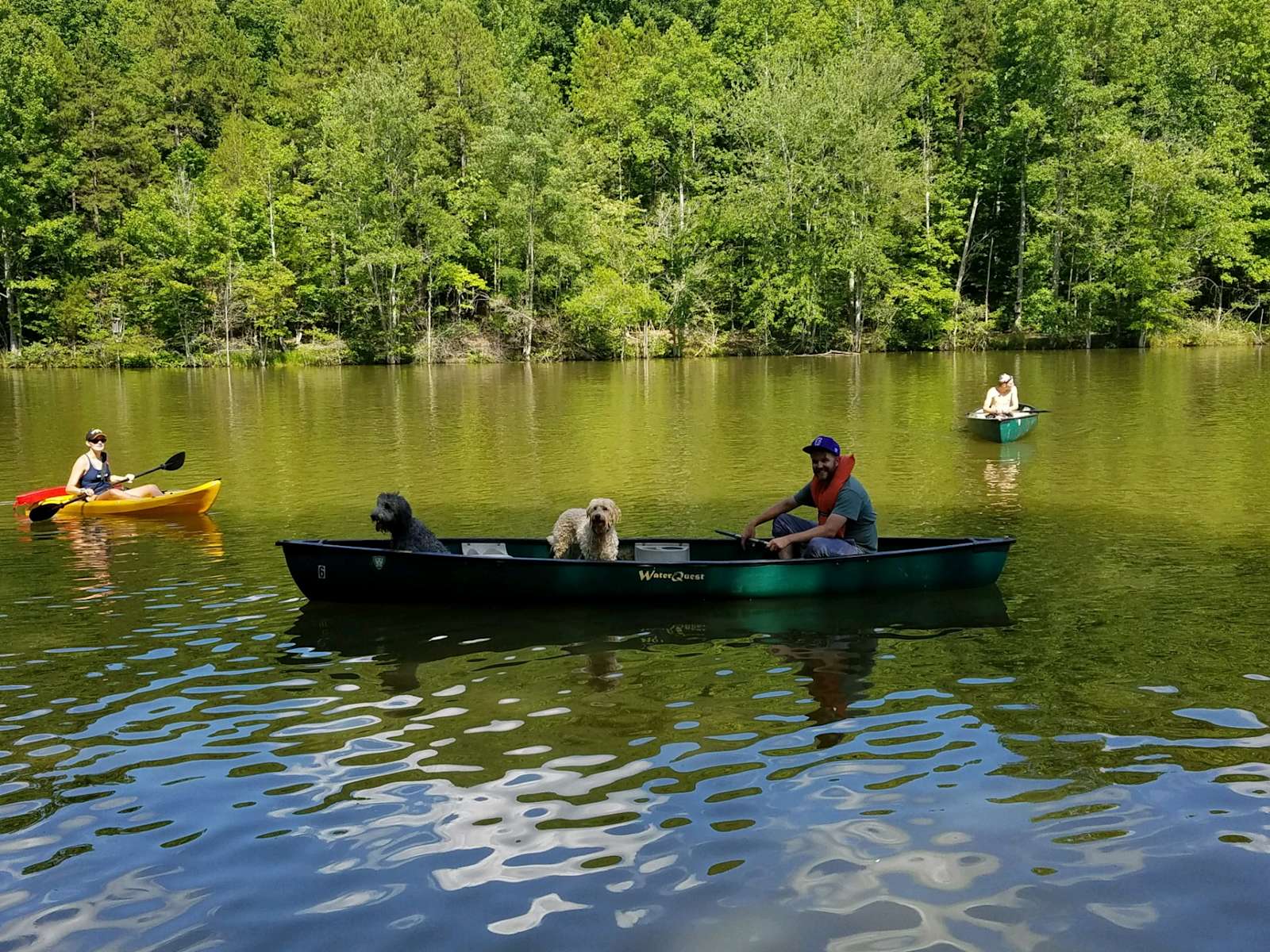 Mount Shepherd Camp - Hipcamp in Asheboro, North Carolina