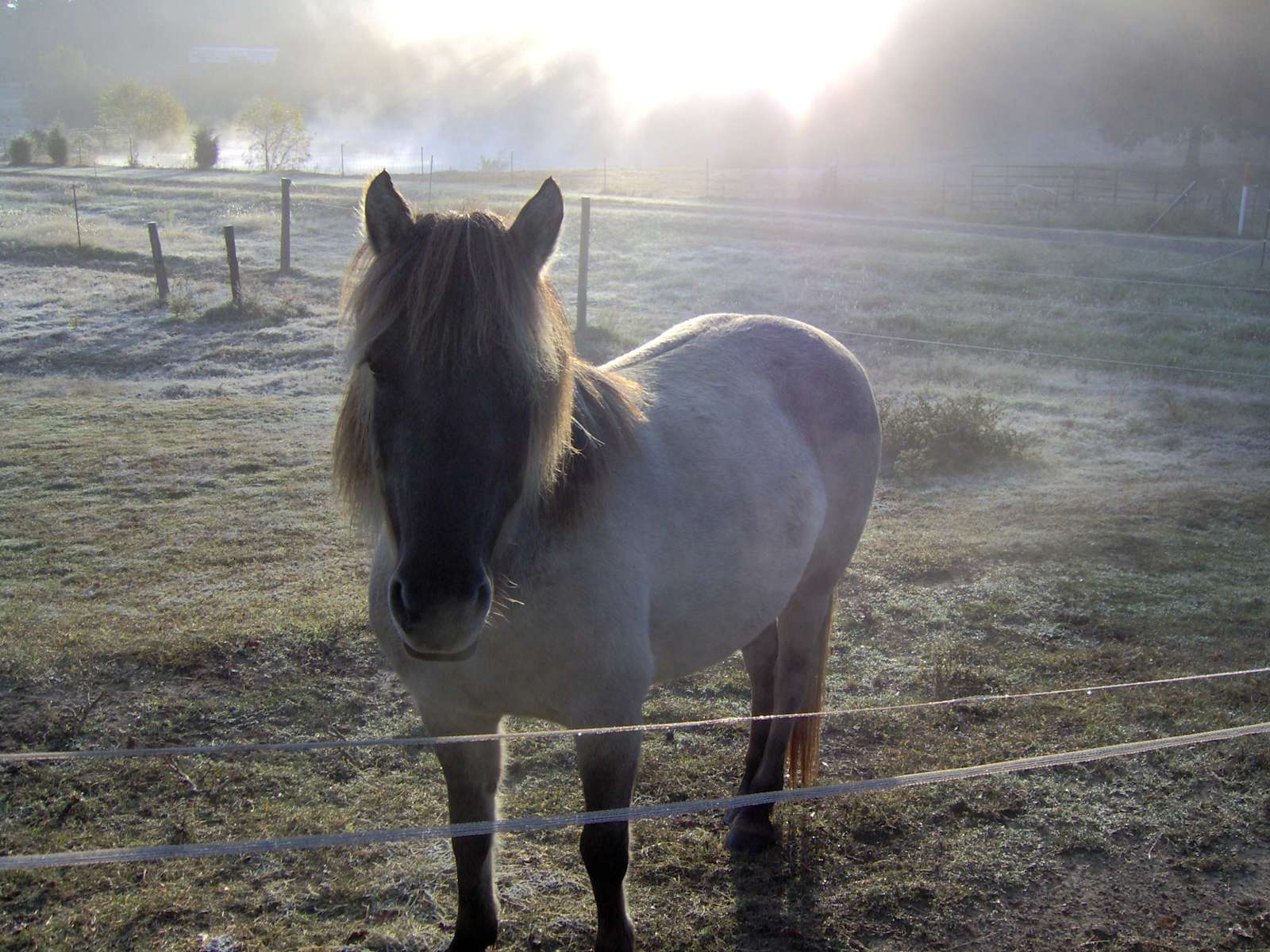 Brightfields - Hipcamp in Falkville, Alabama