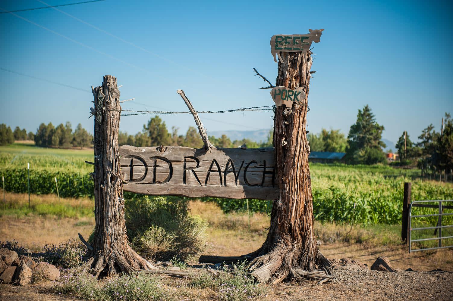 Working cattle ranch - Hipcamp in Terrebonne, Oregon