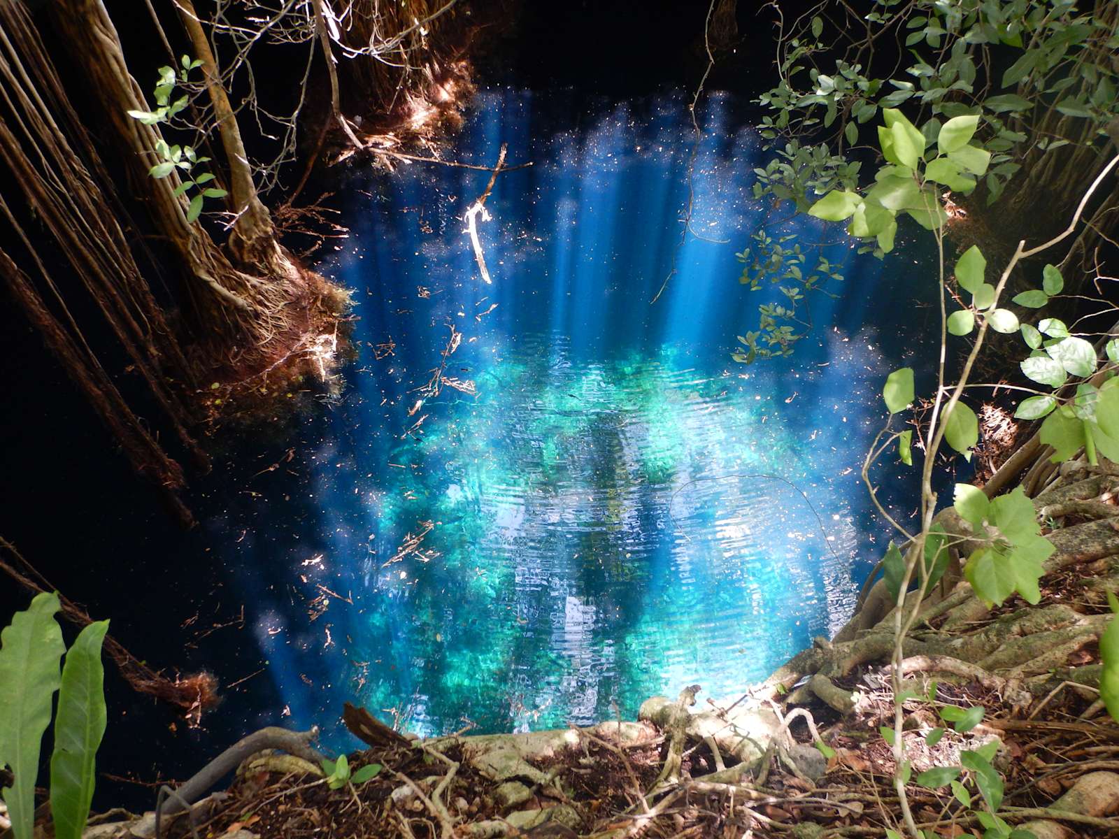 Earth Connection Center Biological Reserve - Hipcamp in Merida, Yucatan ...
