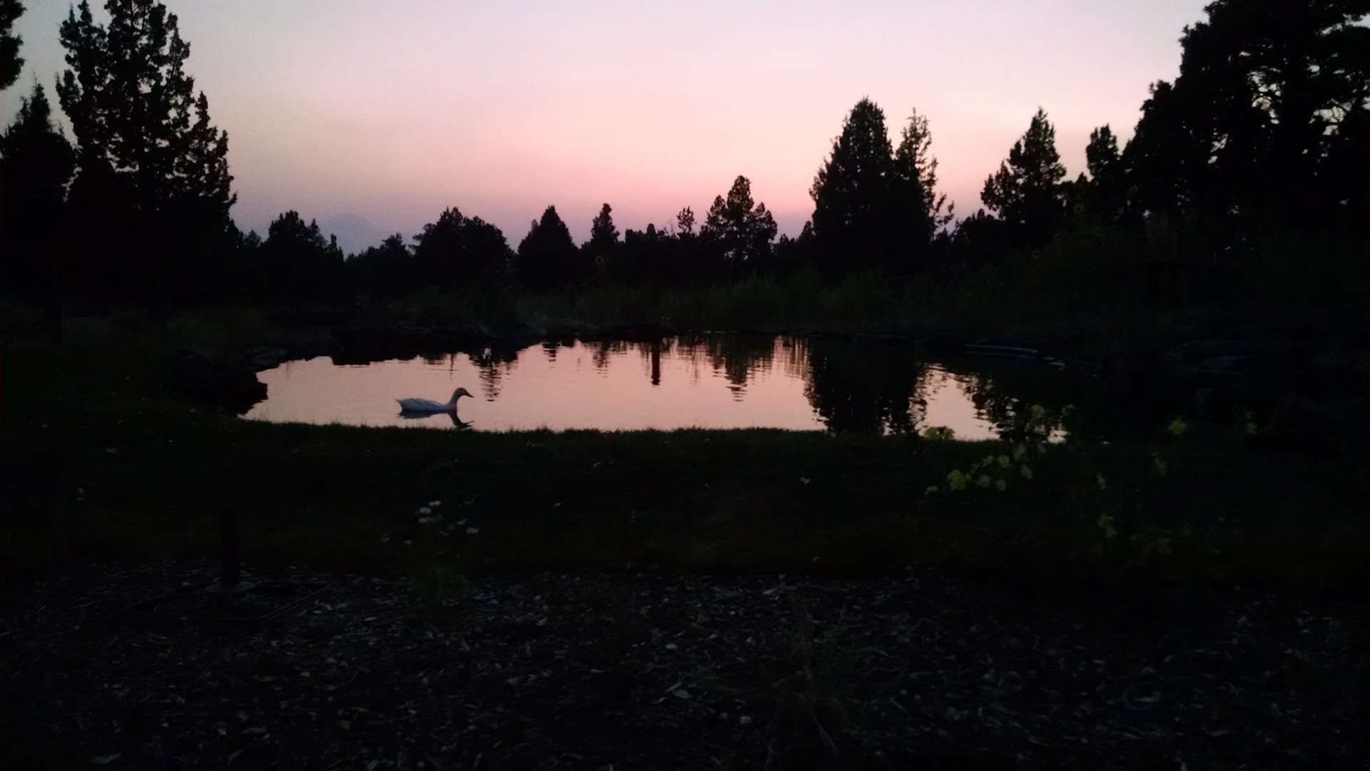 Sofia's garden - Hipcamp in Bend, Oregon