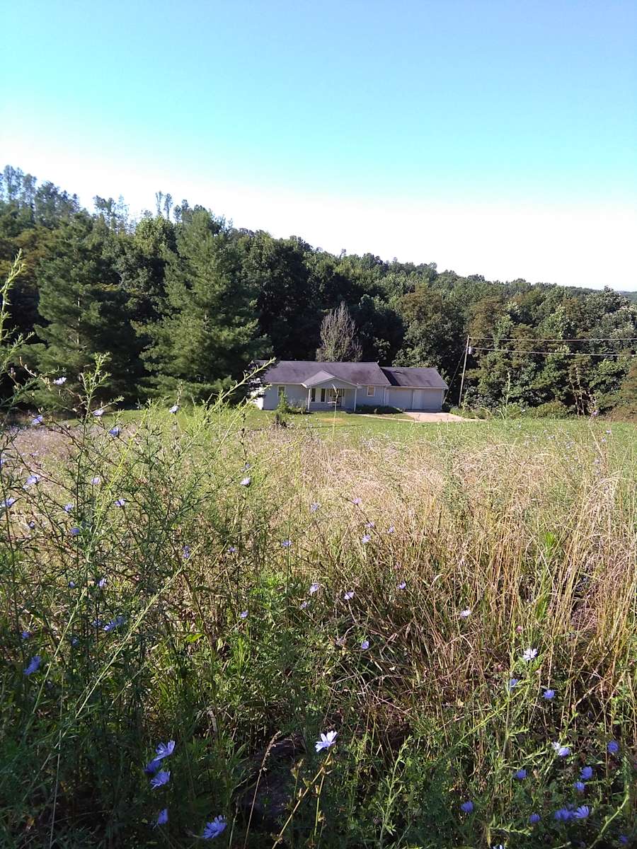 Angel Ridge Retreat - Hipcamp in Hustonville, Kentucky