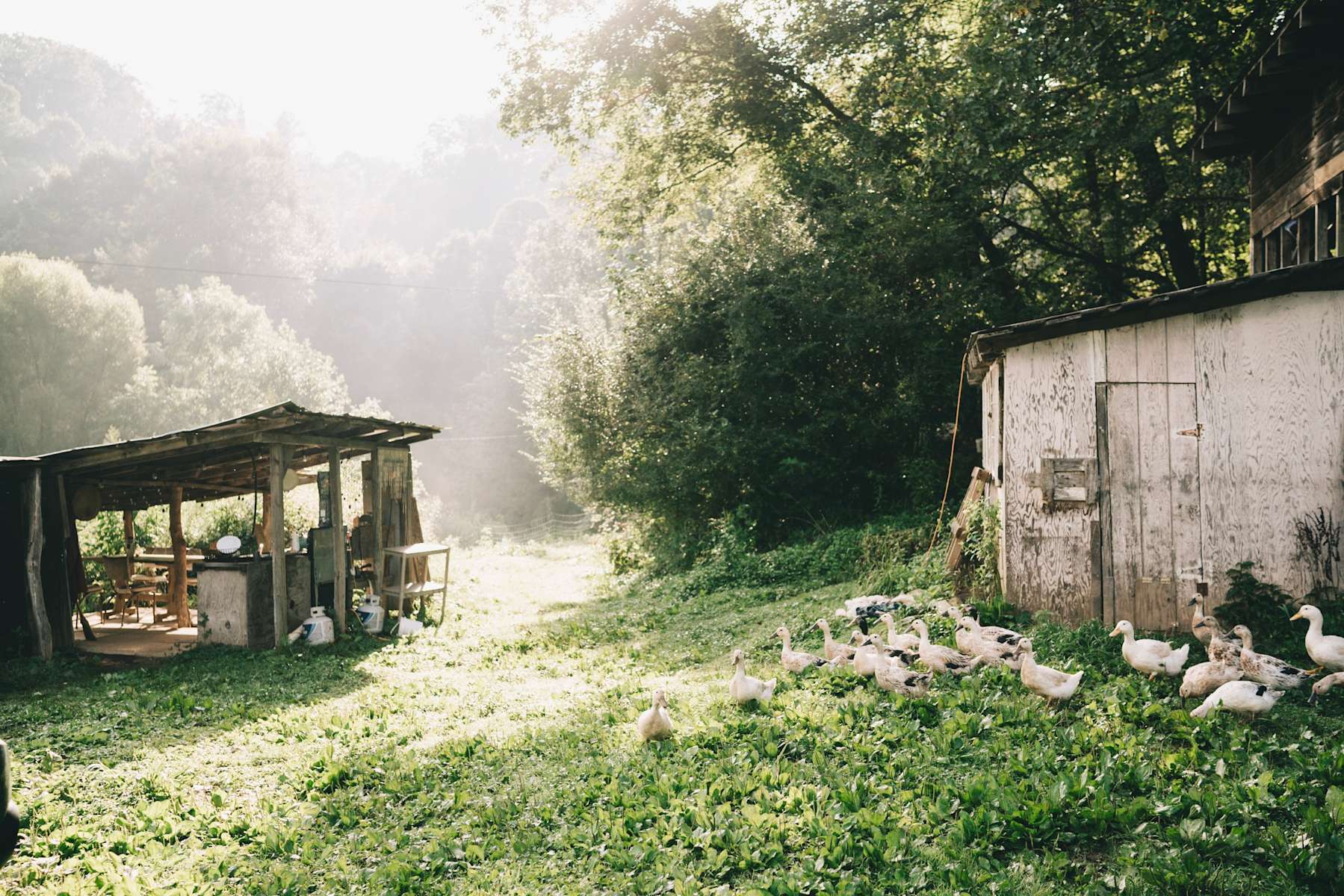 Chrysalis Earth Farm - Hipcamp in Sylva, North Carolina