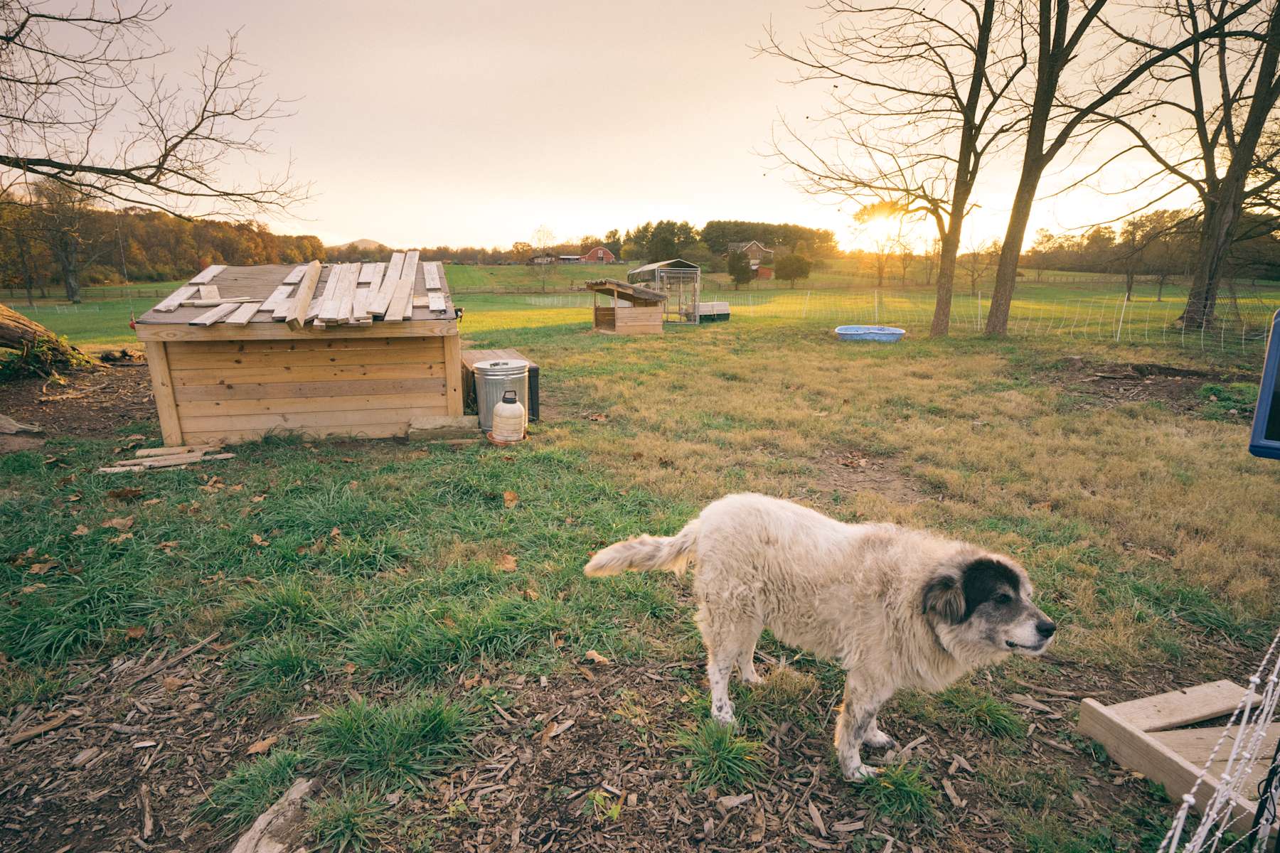 River Farm - Hipcamp in Boyce, Virginia