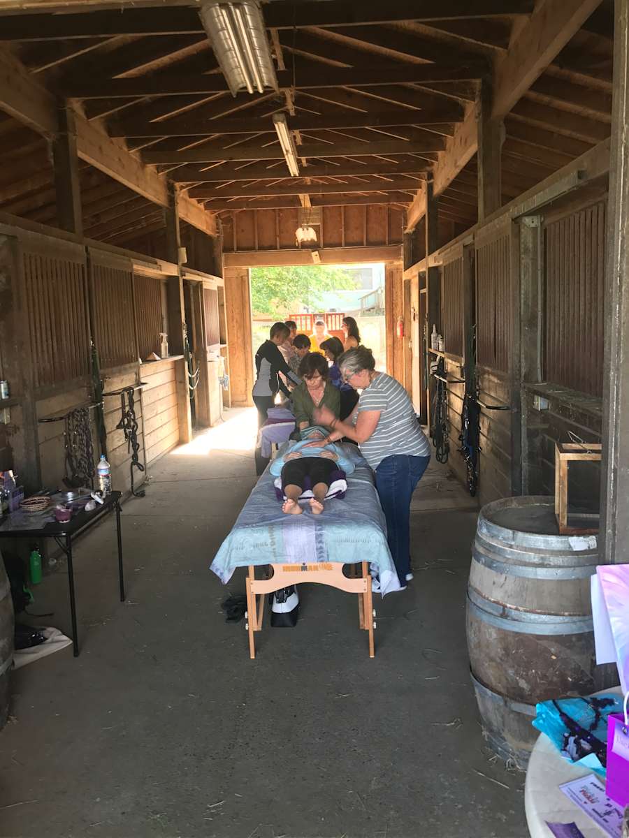 Strong Stables - Hipcamp in Petaluma, California