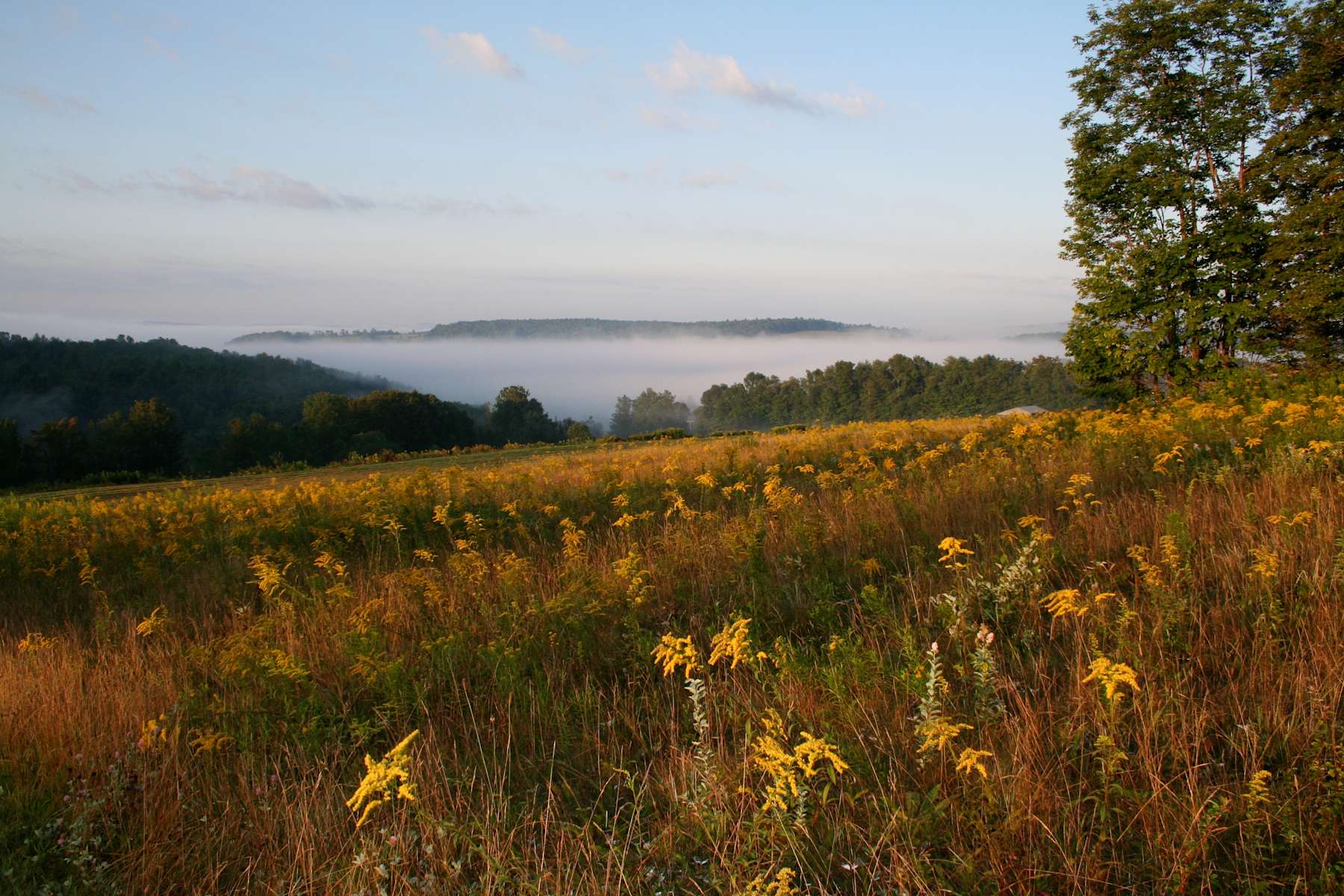 Sky Acres - Hipcamp in Lutheranville, New York