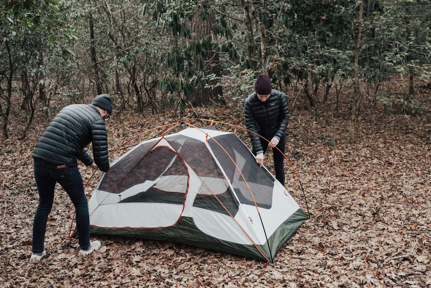 Archaic Roots Studio and Farm - Hipcamp in Lakemont, Georgia