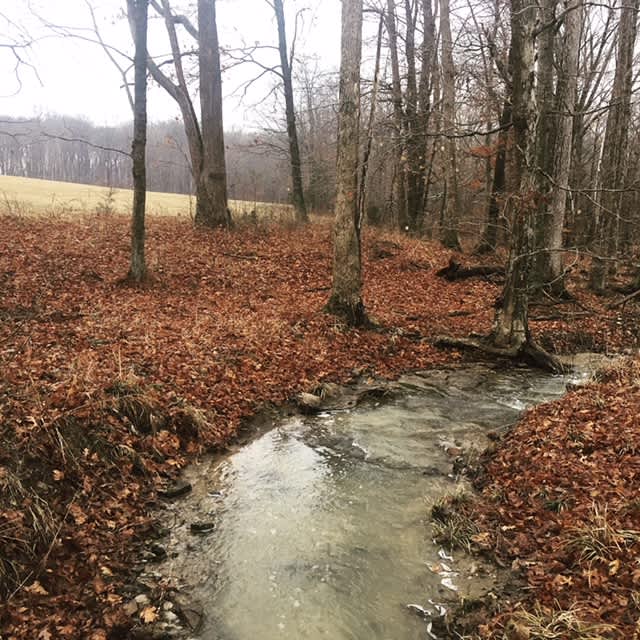 Kickin' Grass Farm - Hipcamp in Lewisburg, Kentucky