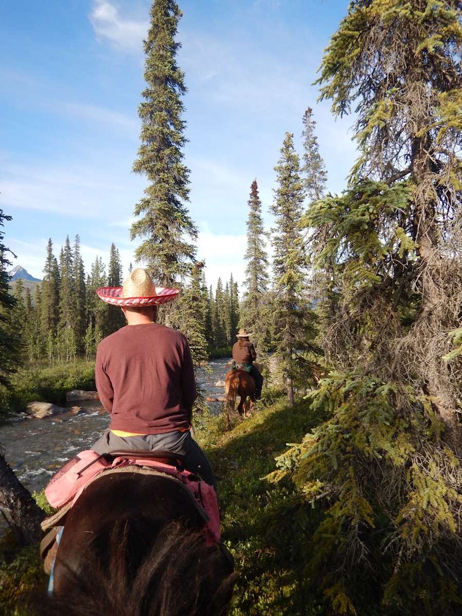 Wilderness Homestead - Hipcamp in None, Alaska