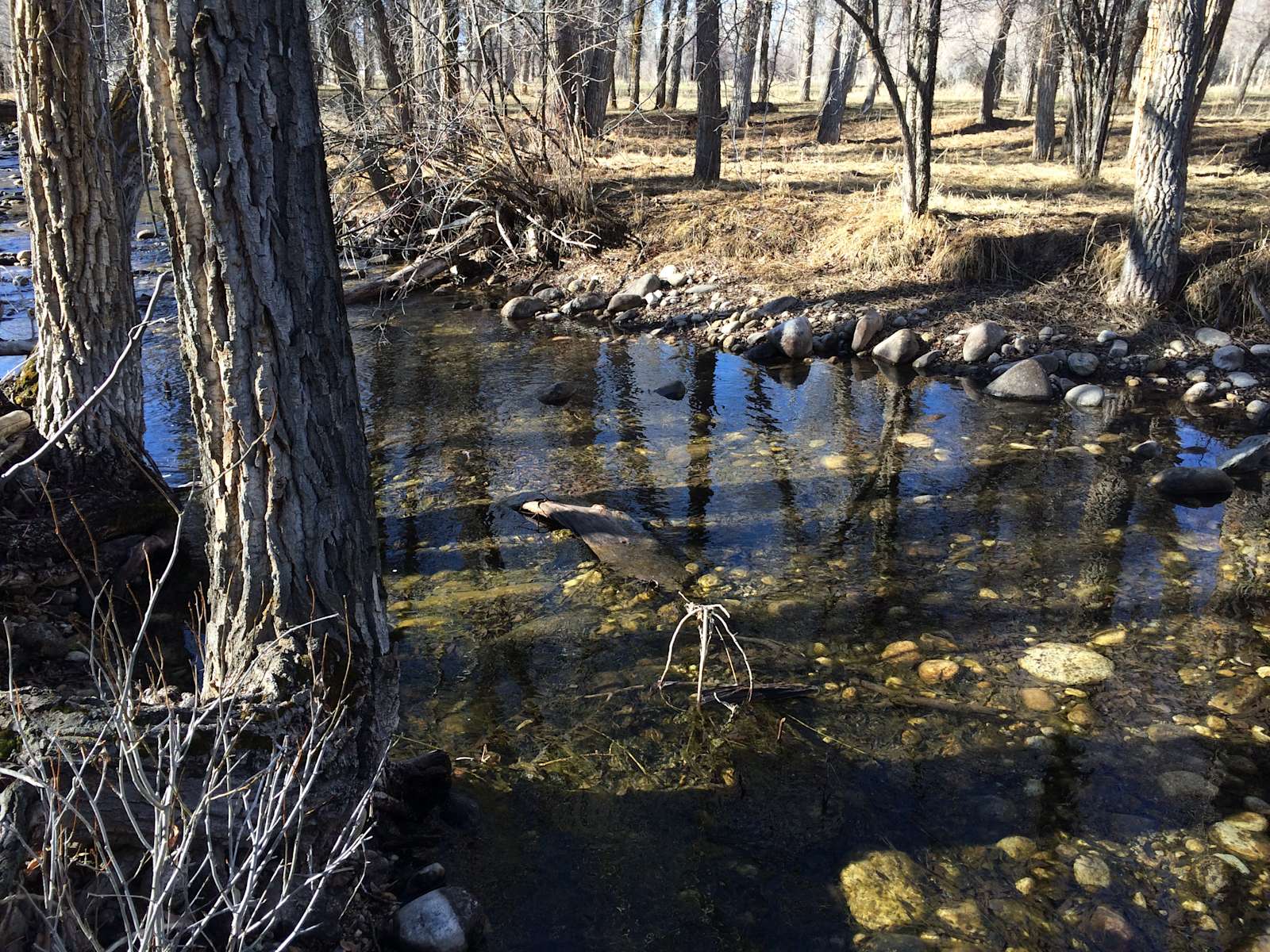 Kennedy Ranch - Lamoille Creek - Hipcamp in Lamoille, Nevada