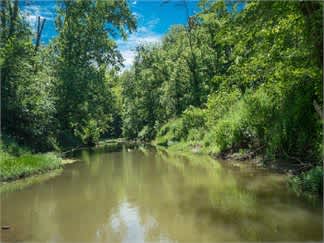 Mary D.’s Land - Hipcamp in Amesville, Oh 45711, Ohio