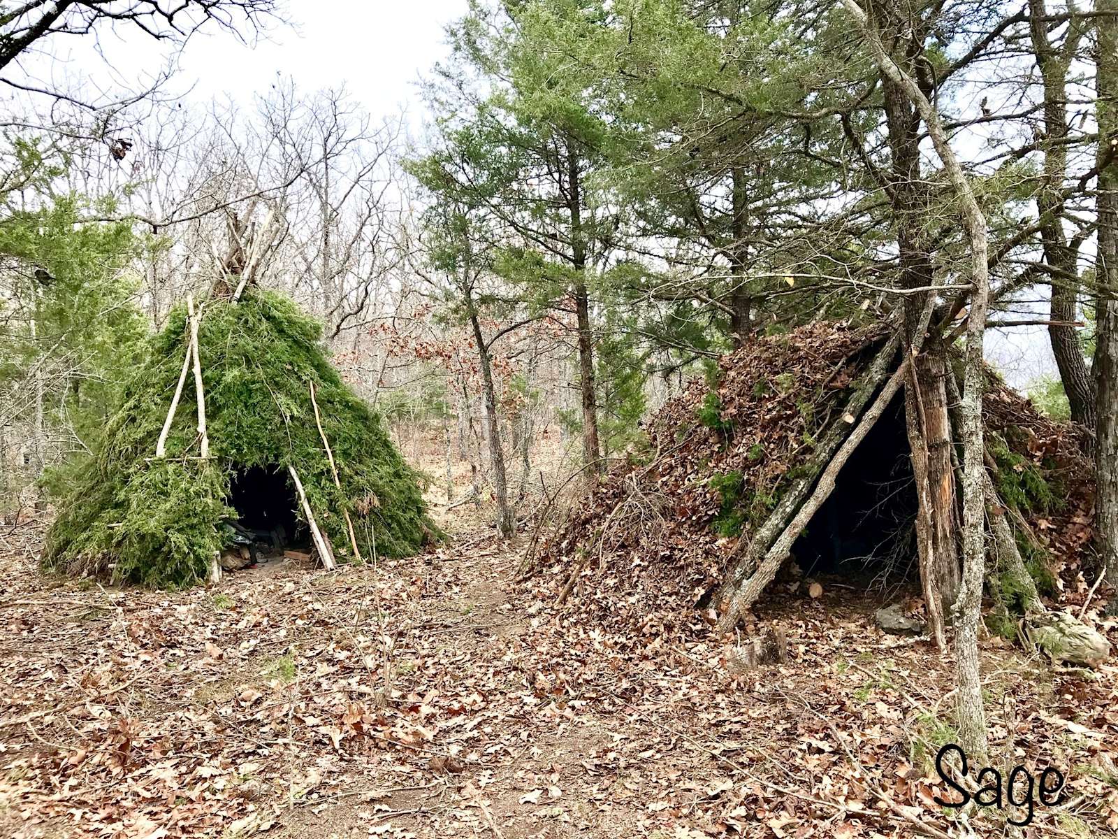 Rob A.’s Land - Hipcamp in Mansfield, Missouri