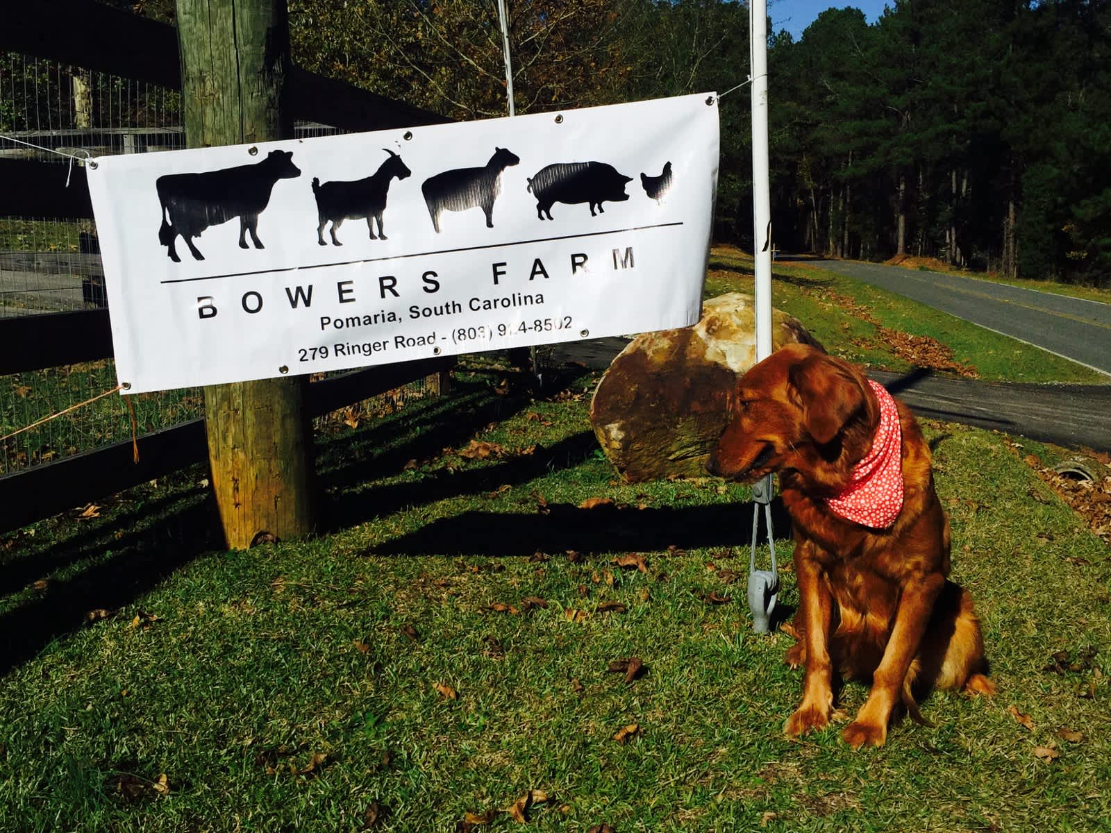 Bowers Farm - Hipcamp in Pomaria, South Carolina