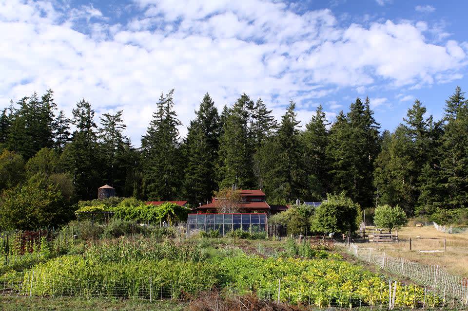Gaia Rising Farm - Hipcamp in Anacortes, Washington