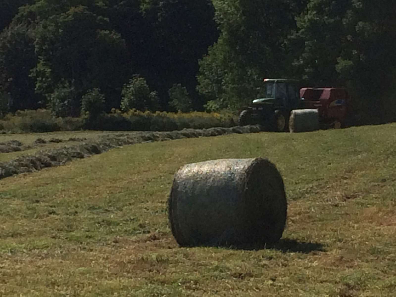 Mohawk Valley Dairy Farm Living - Hipcamp in Frankfort, New York