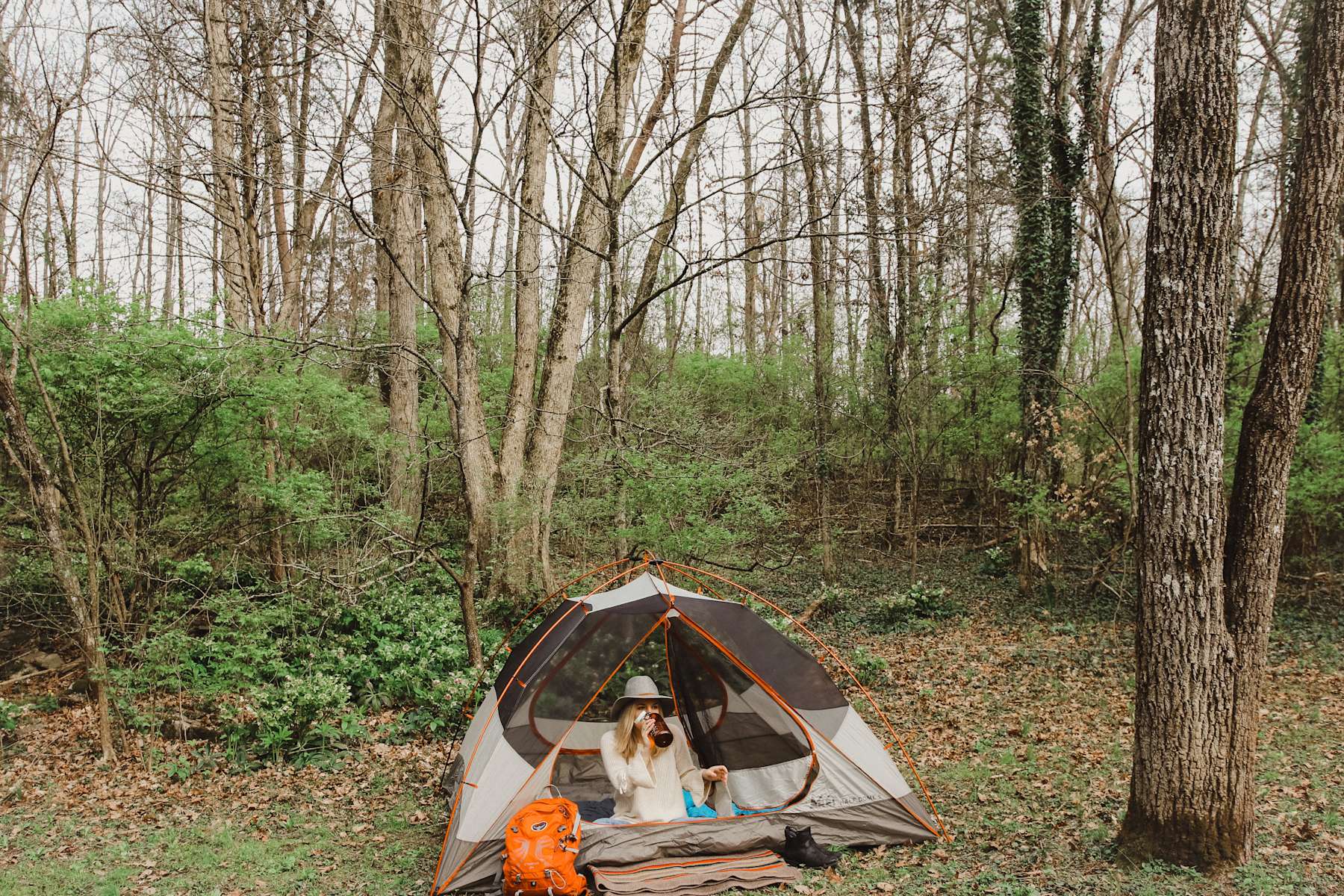 Hatcher Holler - Hipcamp in Knoxville, Tennessee