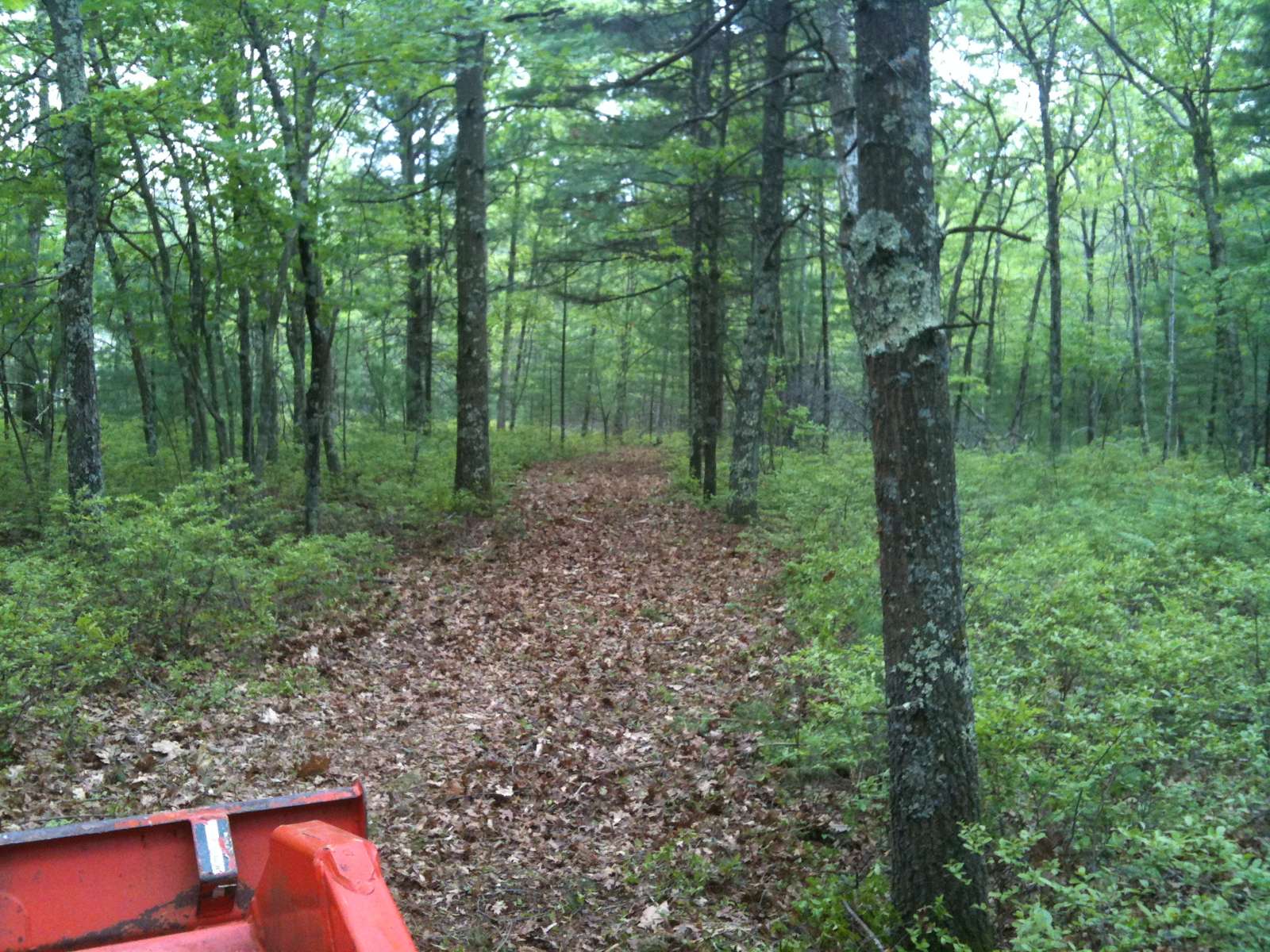 Moonlight Meadows Farm - Hipcamp in West Greenwich, Rhode Island