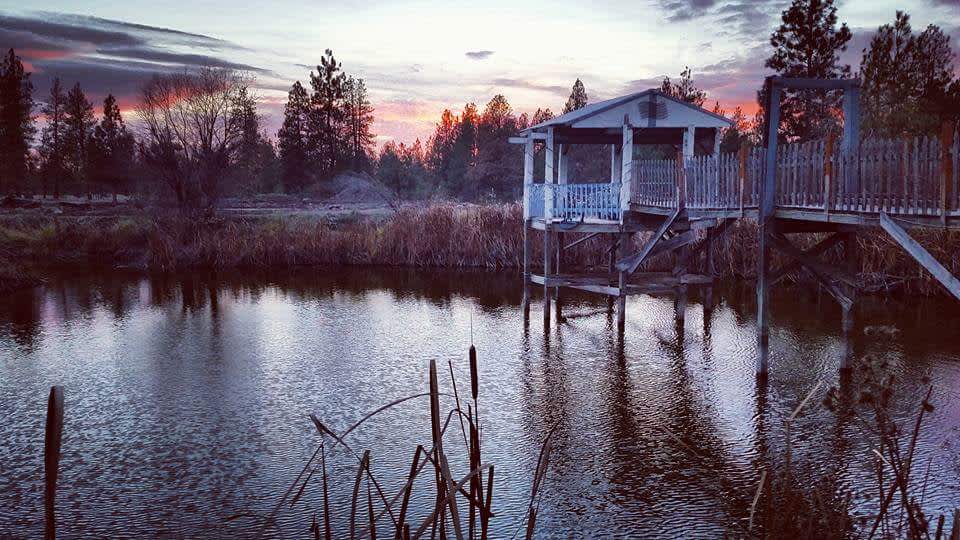 Freedom Hooves Ranch - Hipcamp in Edwall, Washington