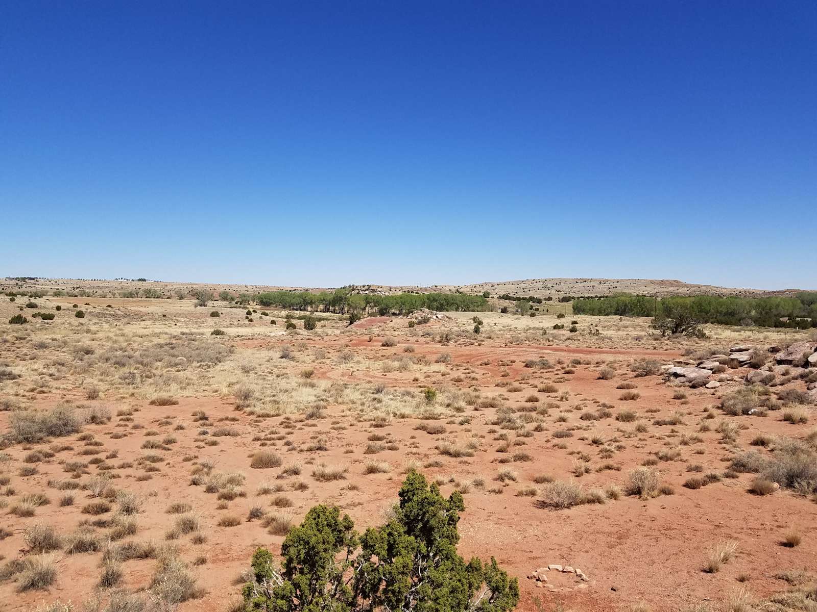 Lost Sheep Ranch - Hipcamp in Show Low, Arizona