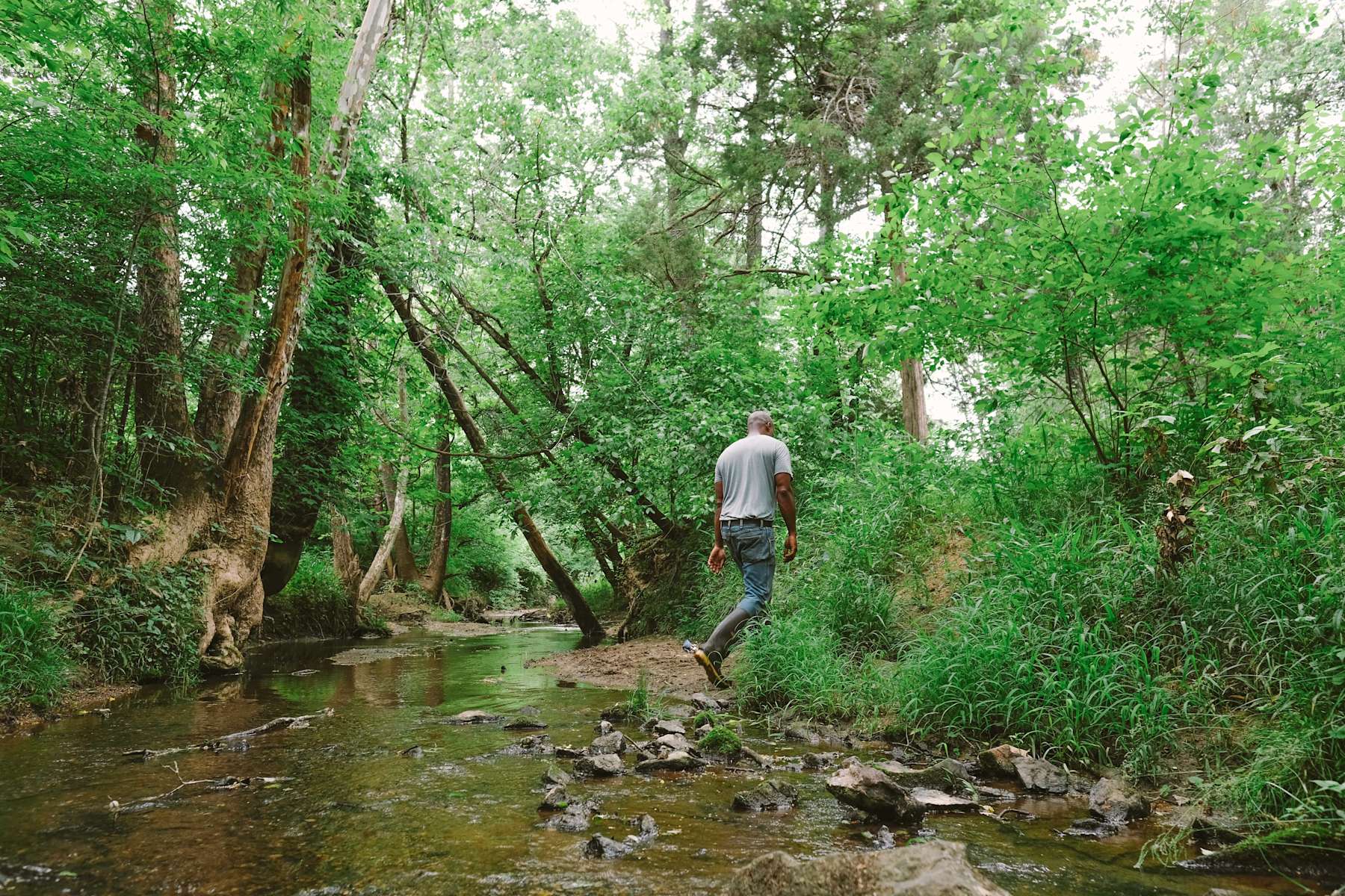 Homestead Asili - Hipcamp in Woodleaf, North Carolina