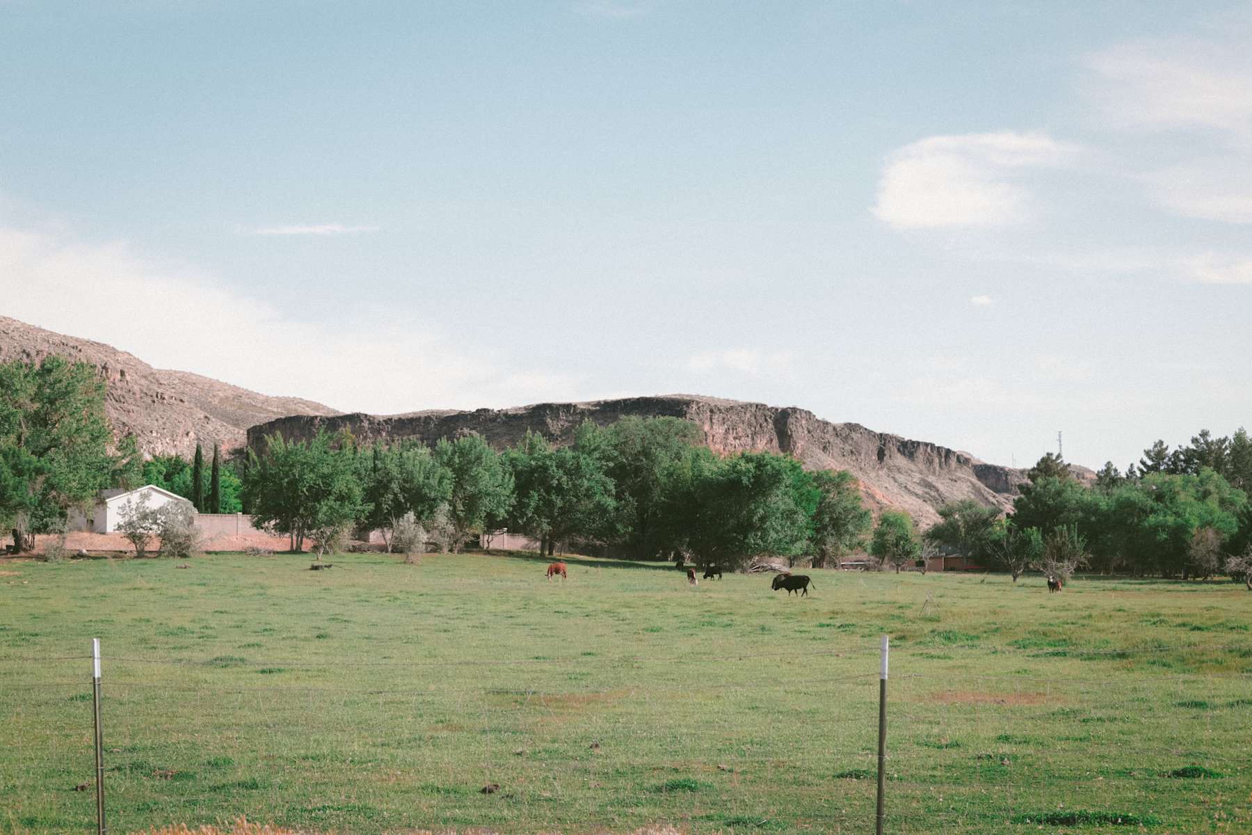 Goat Head Farms - Hipcamp in La Verkin, Utah