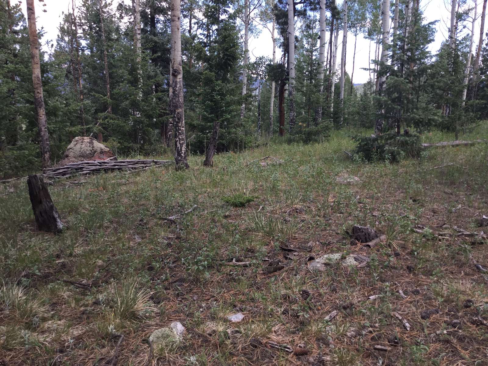 Smoke and Camp ~ 420 Friendly - Hipcamp in Pine, Colorado