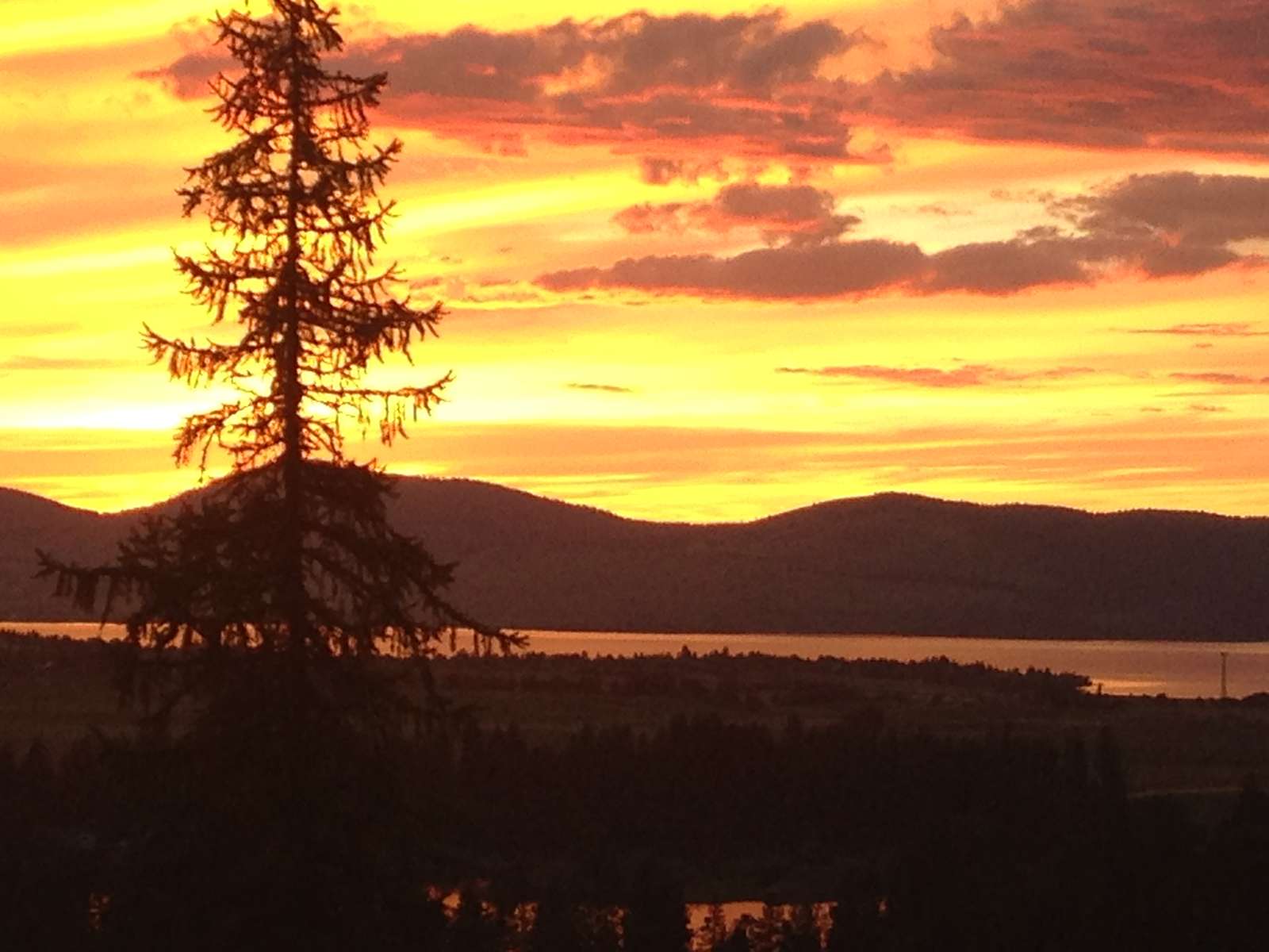 The Ponderosa - Hipcamp in Turtle Lake, Montana