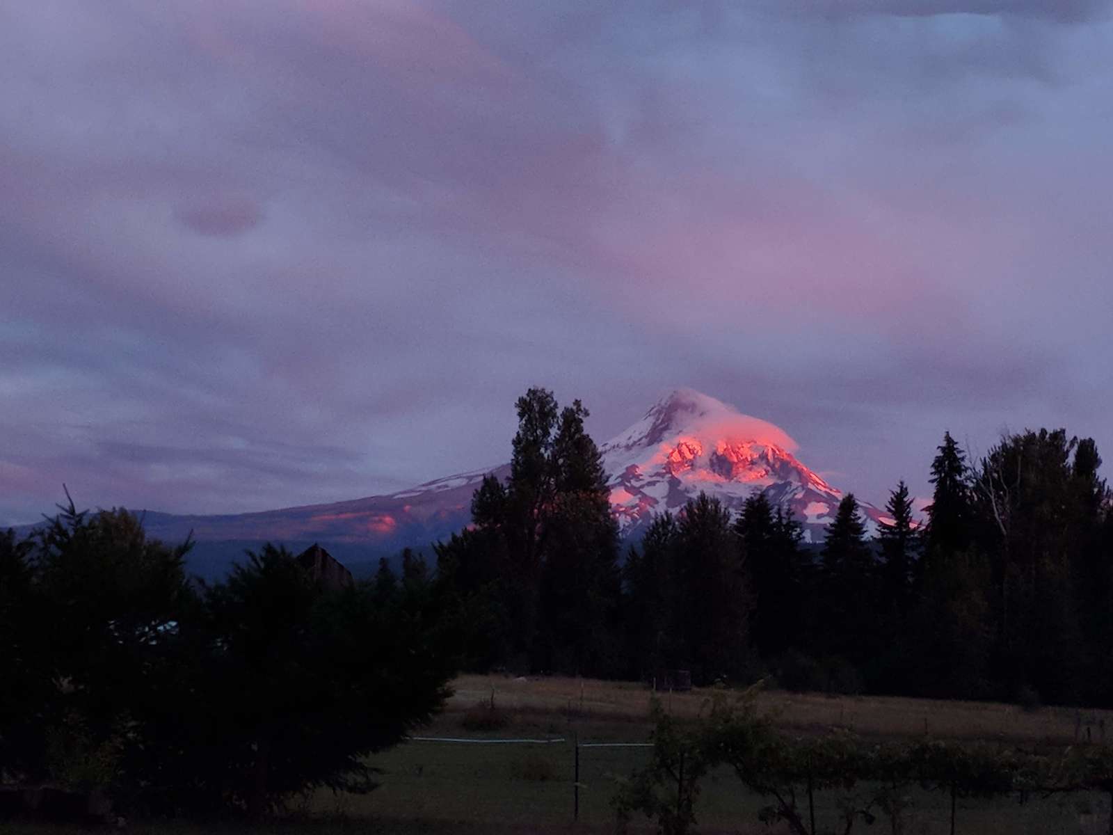 Shelly's Blissful Retreat - Hipcamp in Mt Hood, Oregon