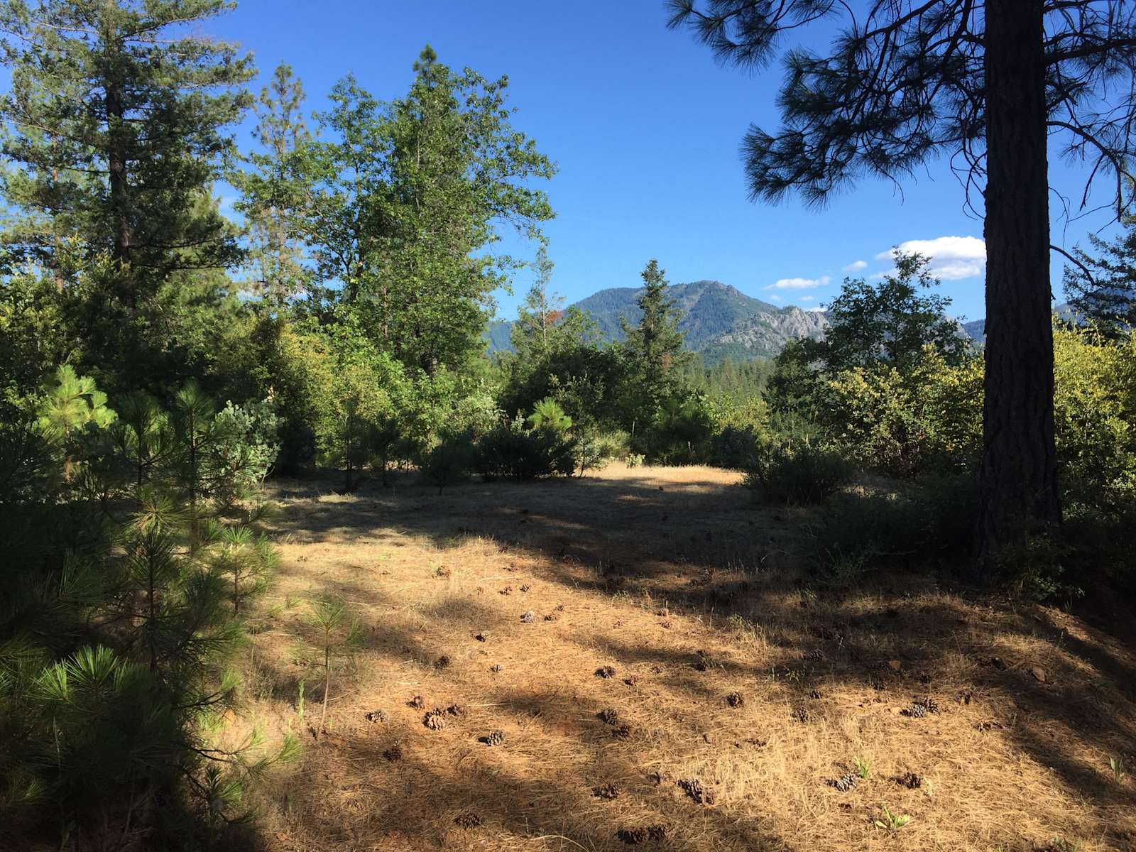 Burning Star Ranch, Shasta Lake - Hipcamp in Lakehead, California