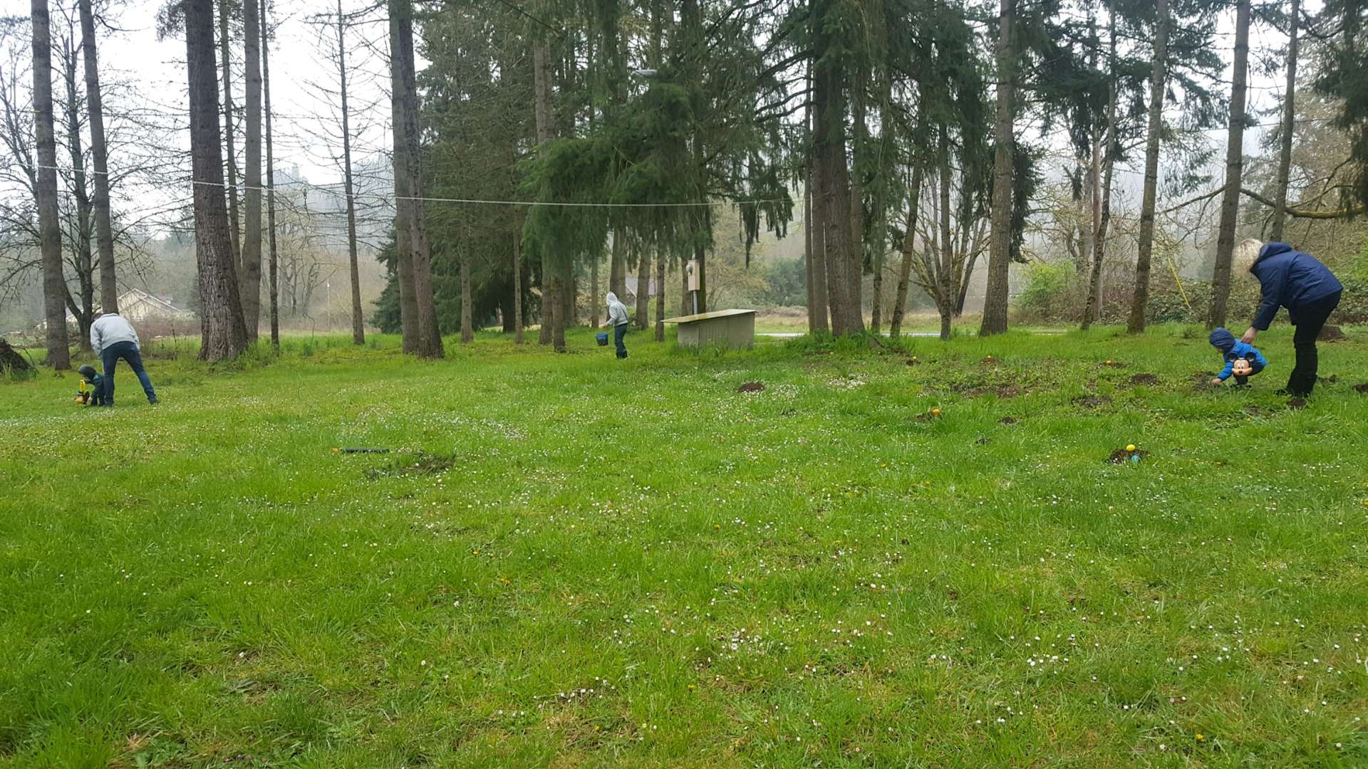 Hipsters Ranch - Hipcamp in Eugene, Oregon